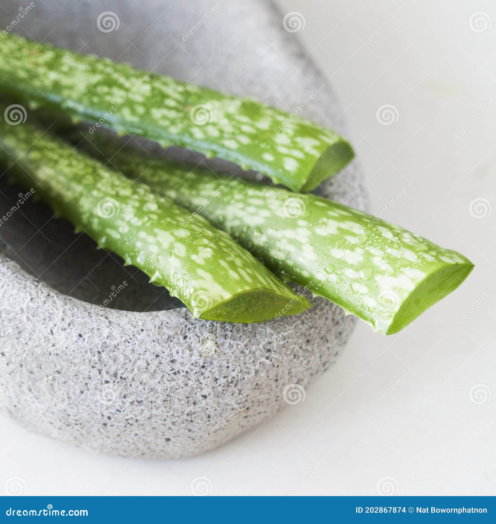 Fresh Aloe Vera on Mortar Plate Stock Photo - Image of herbal ...