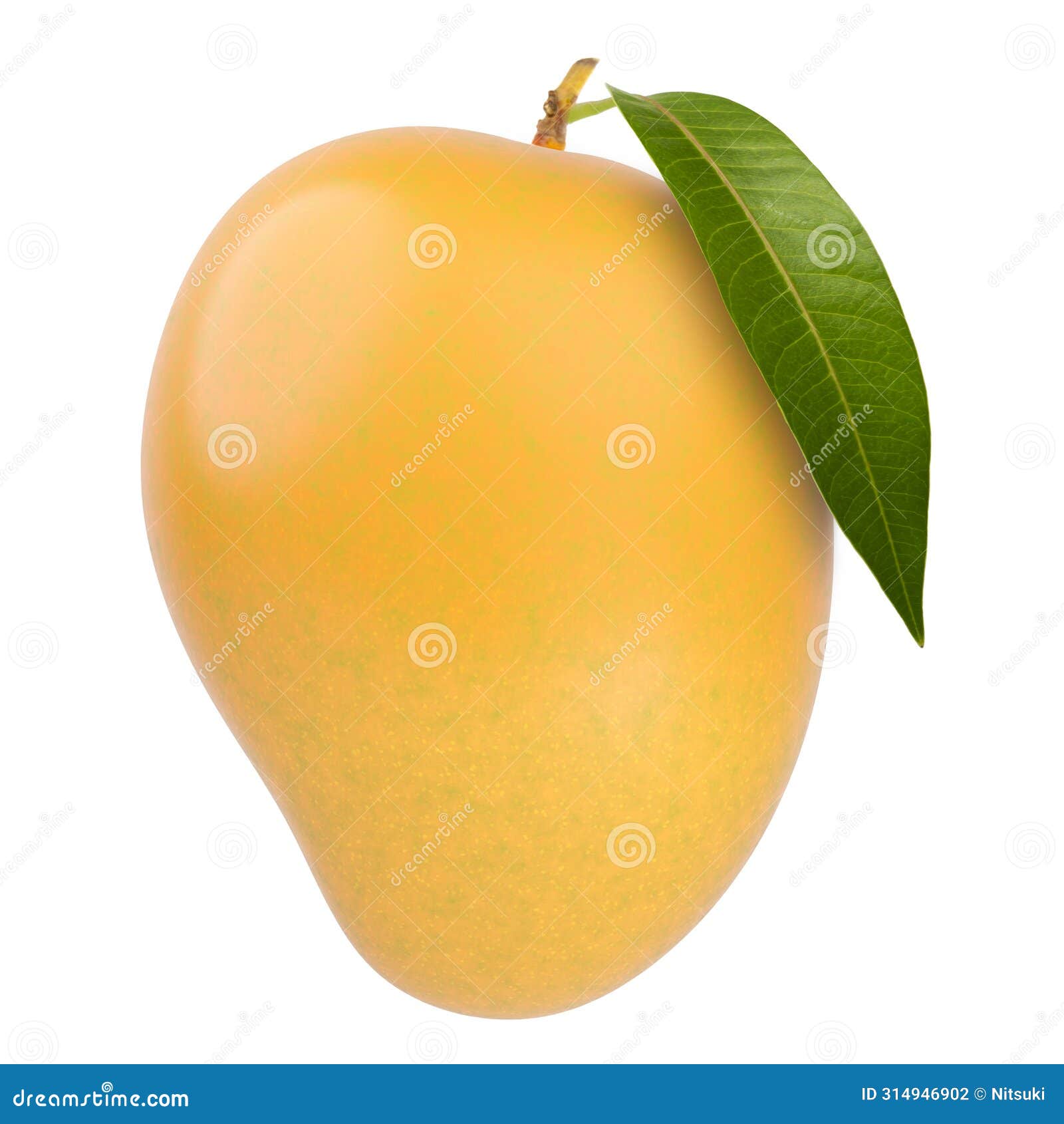 Fresh Alphonso Mango Fruit White Background Stock Photo - Image of ...