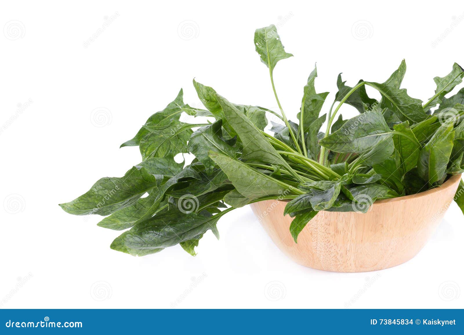 Fresh Amaranth Leaves Isolated on White Background Stock Photo - Image ...