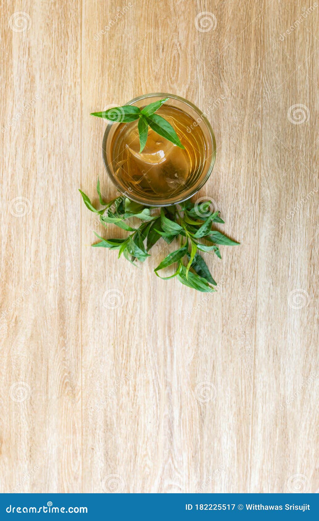 Fresh Andrographis Paniculata Ice Tea on a Wooden Table, Fresh ...