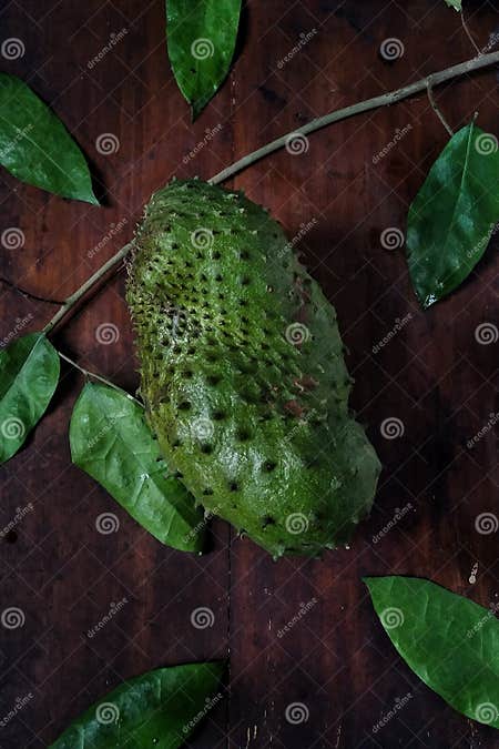 Fresh Anoda Fruit in Dark Mood Stock Image - Image of anoda, branch ...