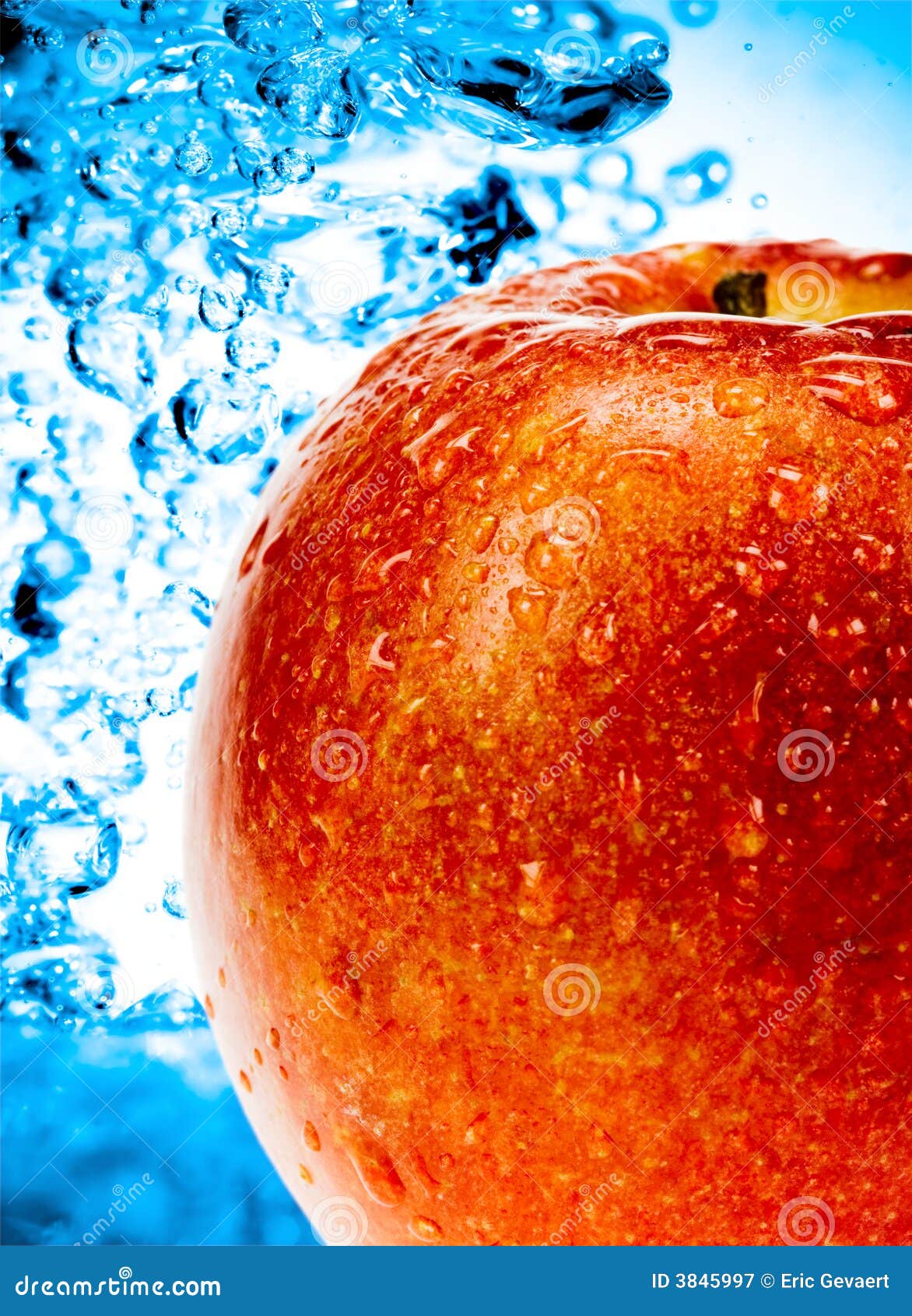 Fresh Apple And Rotten Apple Lying On A Gray Background. Good And Bad ...