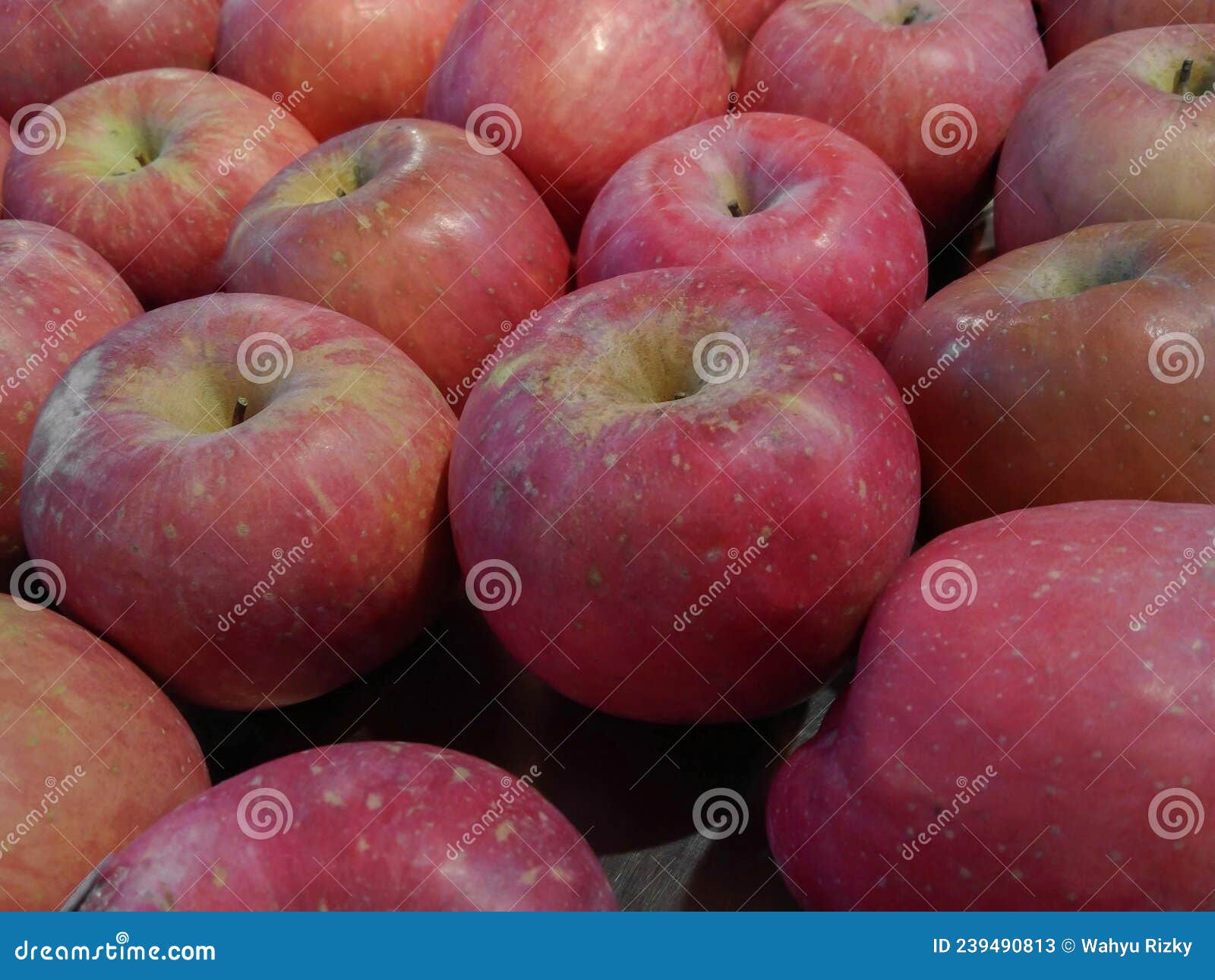 Fresh apple stock image. Image of fruit, healthy, rich - 239490813