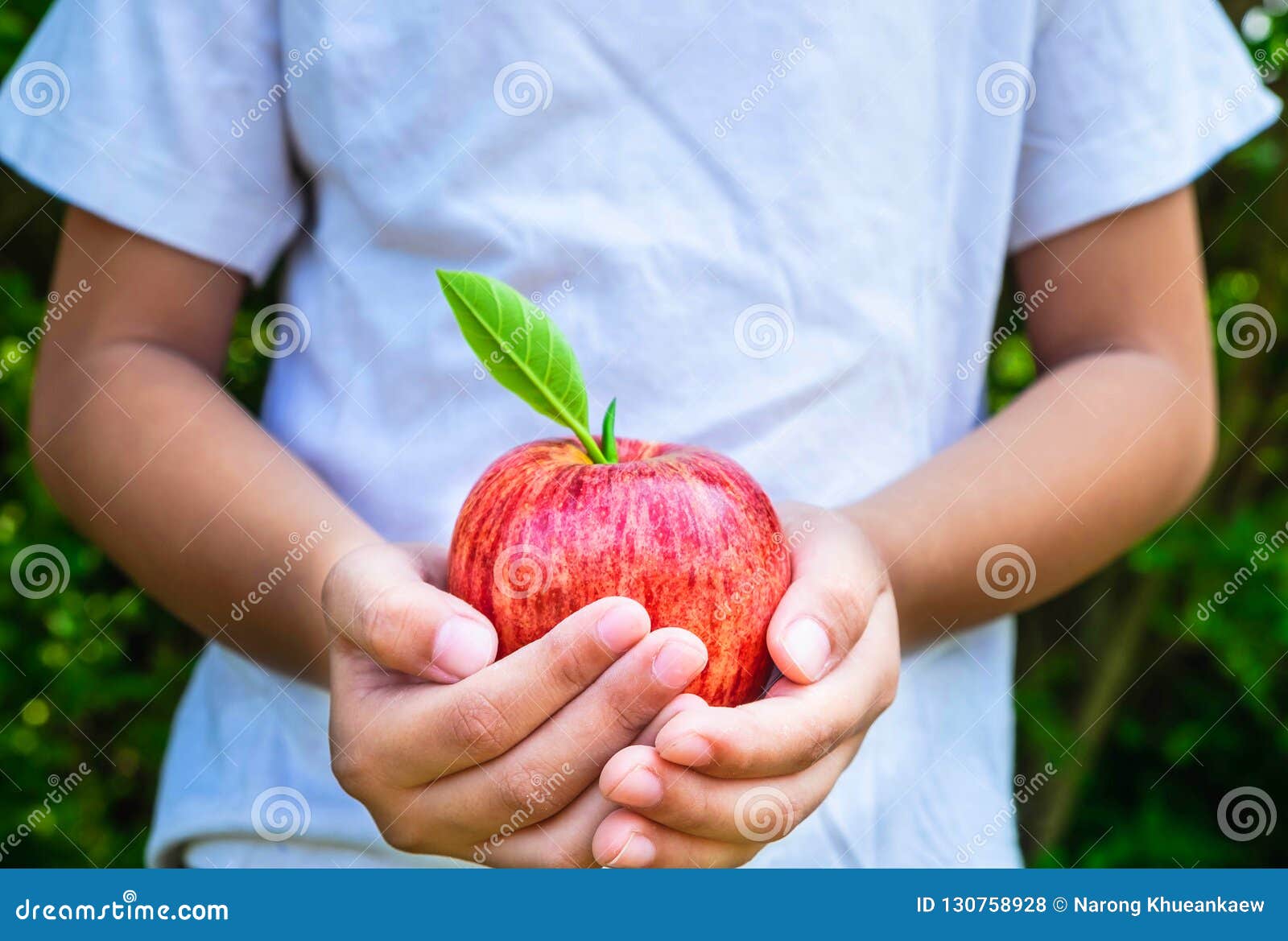 Fresh Apple Fruit in Hand Boy . Love Natural Stock Photo - Image of ...