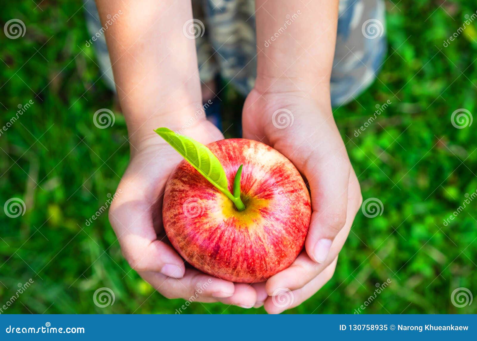 Fresh Red Apple Fruit in Hand. Love Nature Stock Image - Image of ...