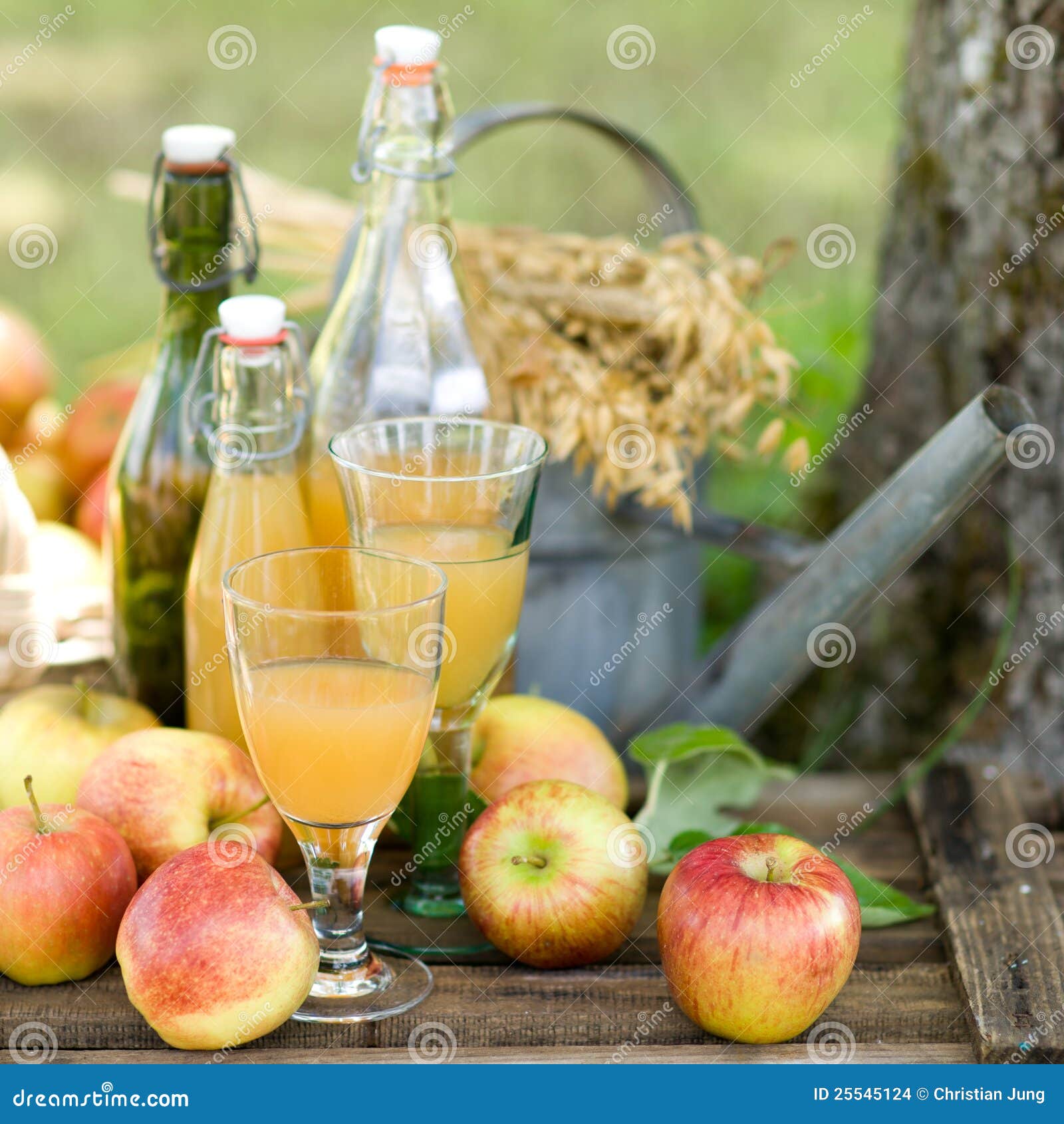 Fresh apple juice stock photo. Image of apples, fruit - 25545124