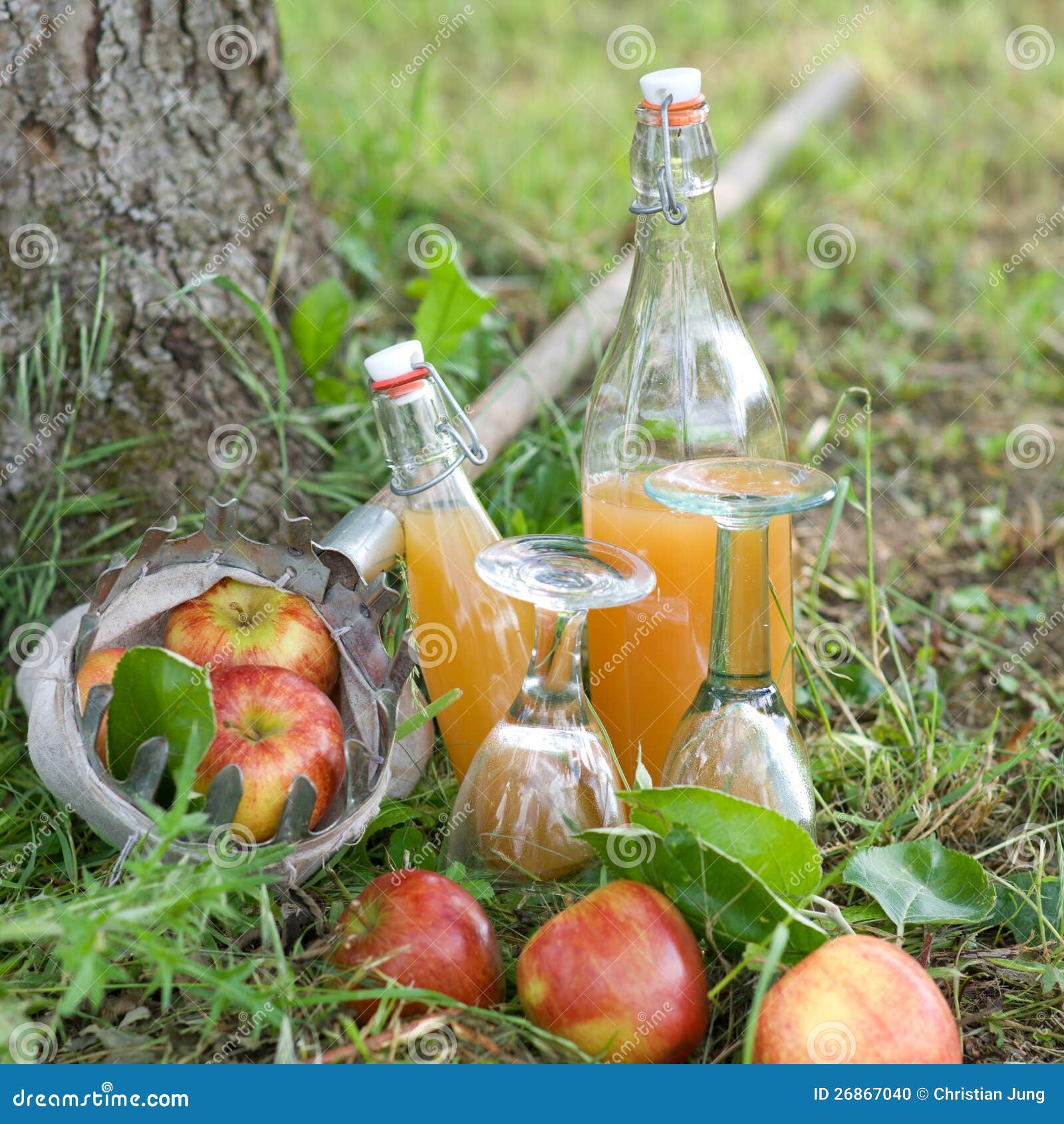 Fresh apple juice stock photo. Image of autumn, life - 26867040