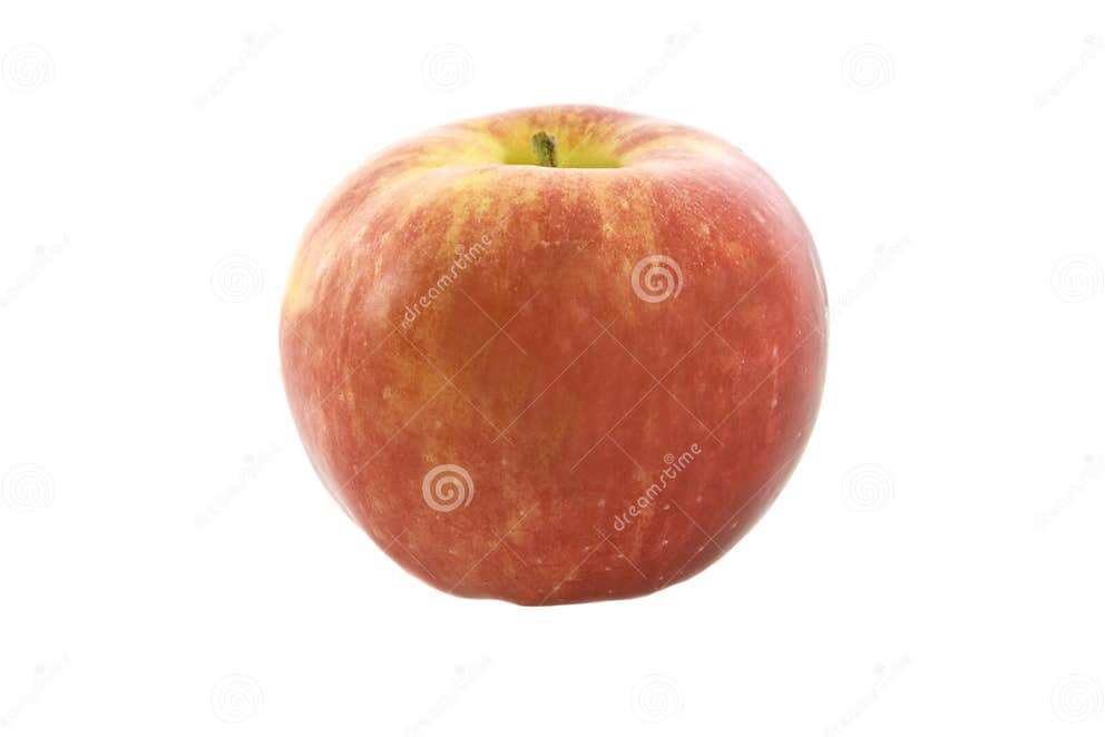 Fresh apple. Macro stock photo. Image of isolated, healthy - 11019986