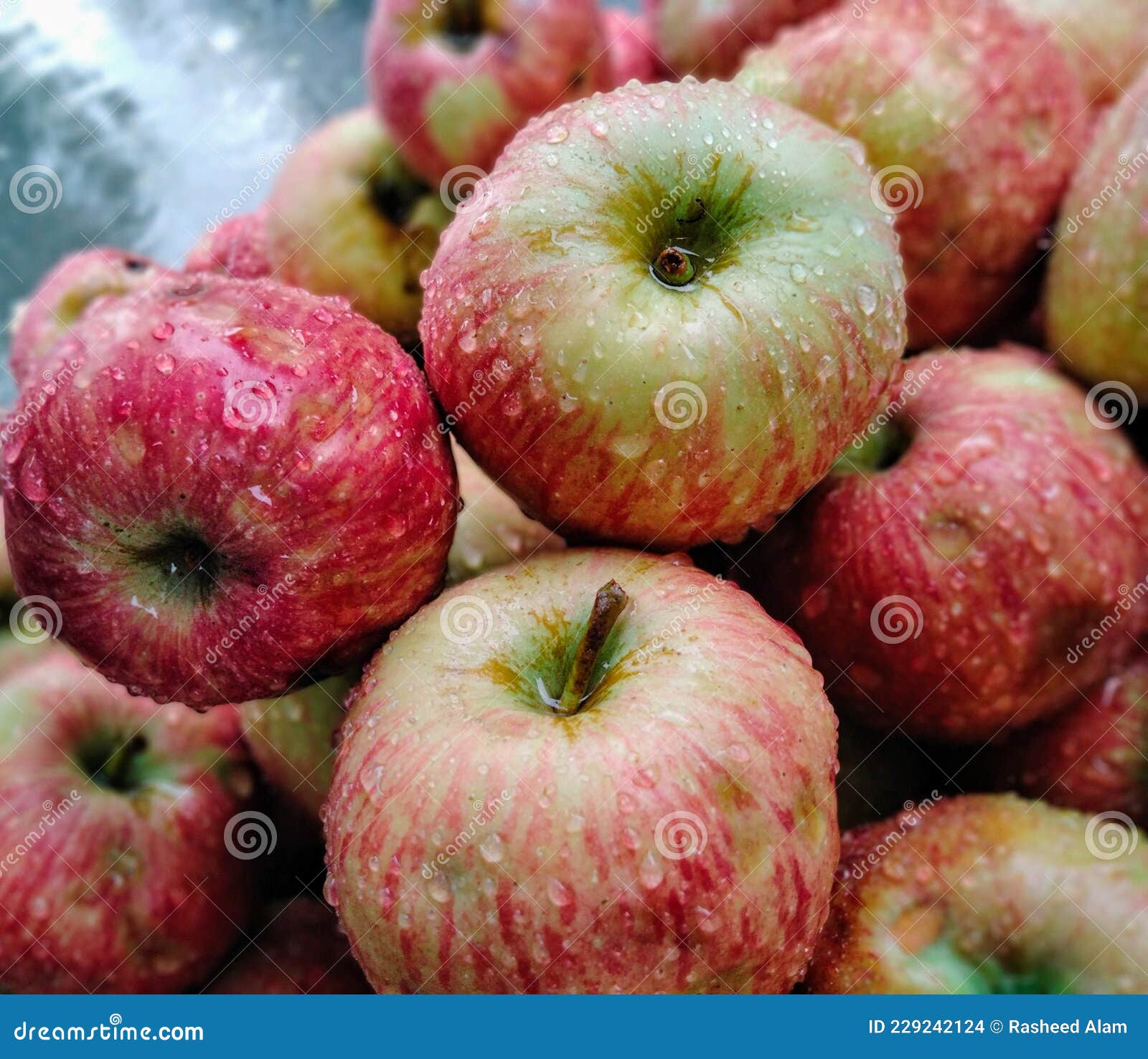 Fresh Apple Photo Taken in Rain Stock Photo - Image of rain, fruit ...