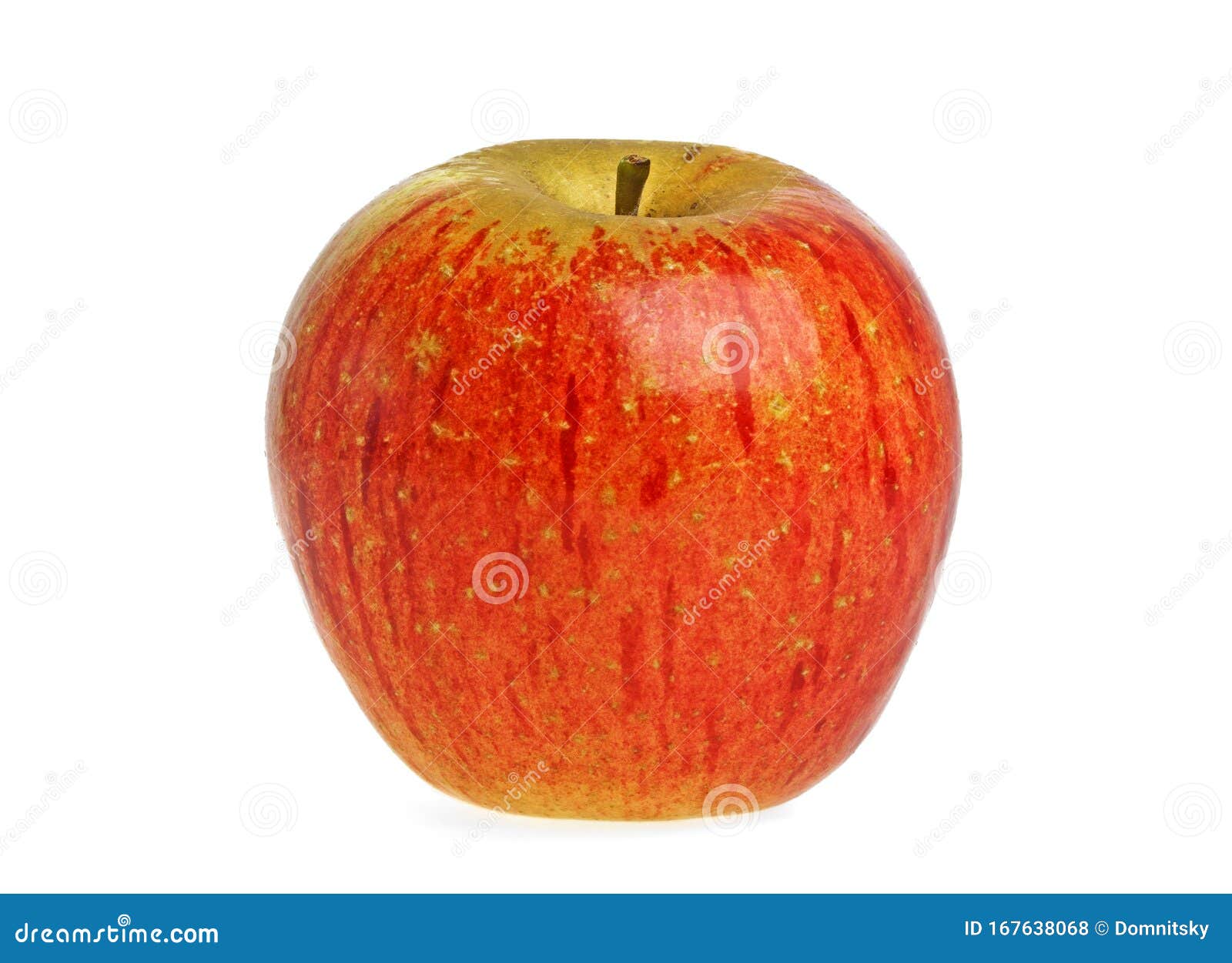 Fresh Apple on a White Background Stock Photo - Image of lifestyle ...