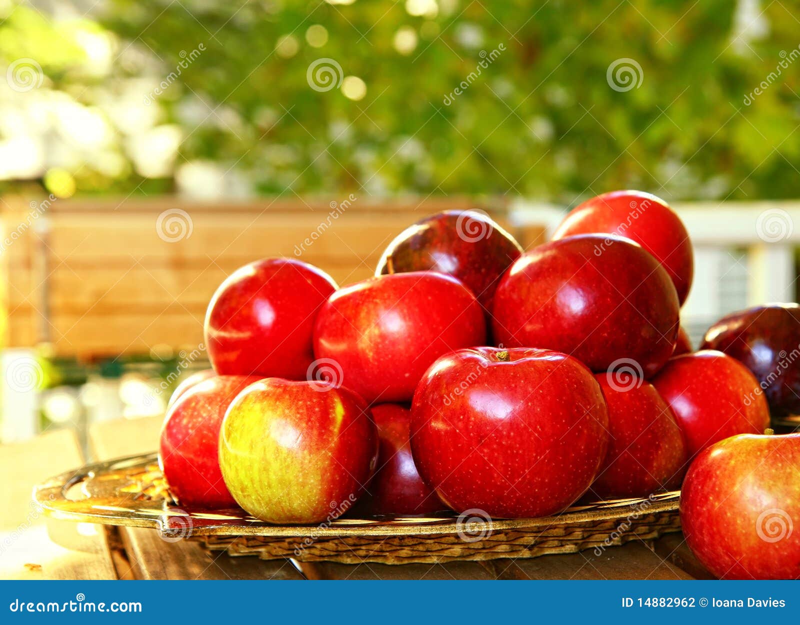 Fresh apples stock photo. Image of apples, fall, basket - 14882962