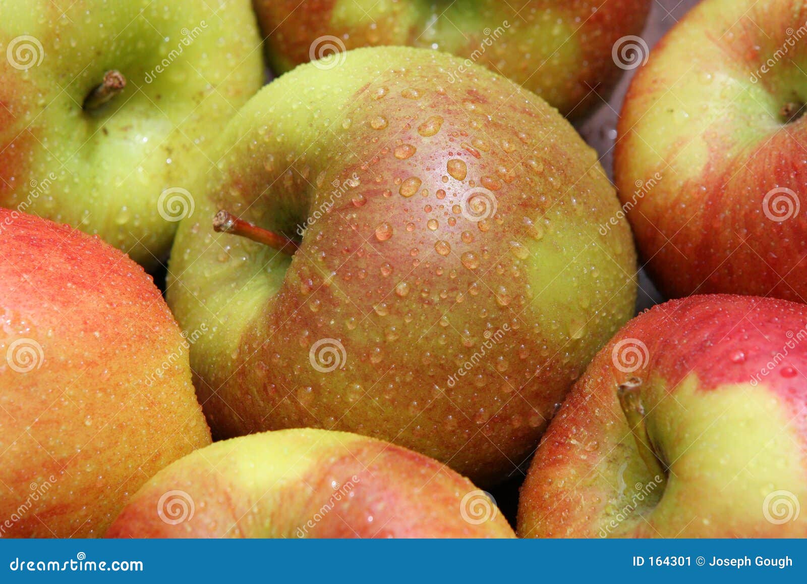 Fresh Apples stock image. Image of green, eating, fruits - 164301