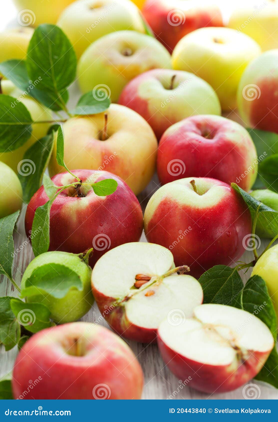 Fresh apples stock photo. Image of seasonal, sweet, assorted - 20443840
