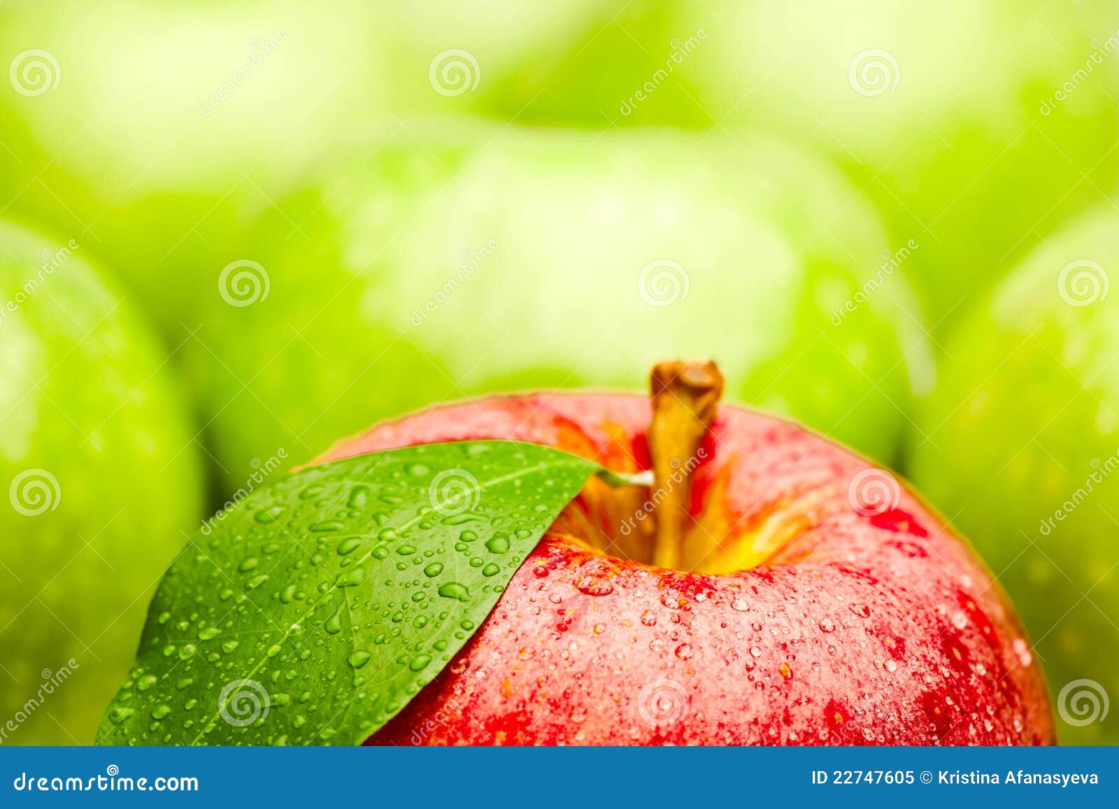 Fresh apples stock image. Image of individuality, front - 22747605