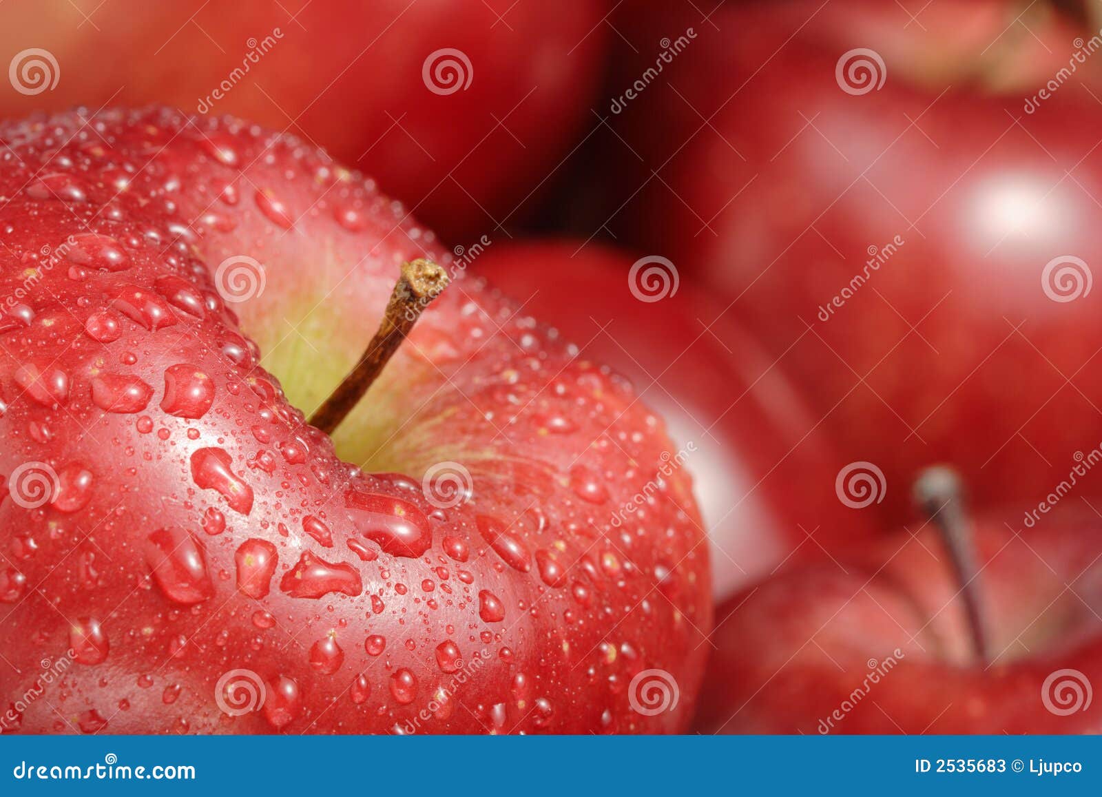 Fresh apples stock image. Image of energy, freshness, product - 2535683