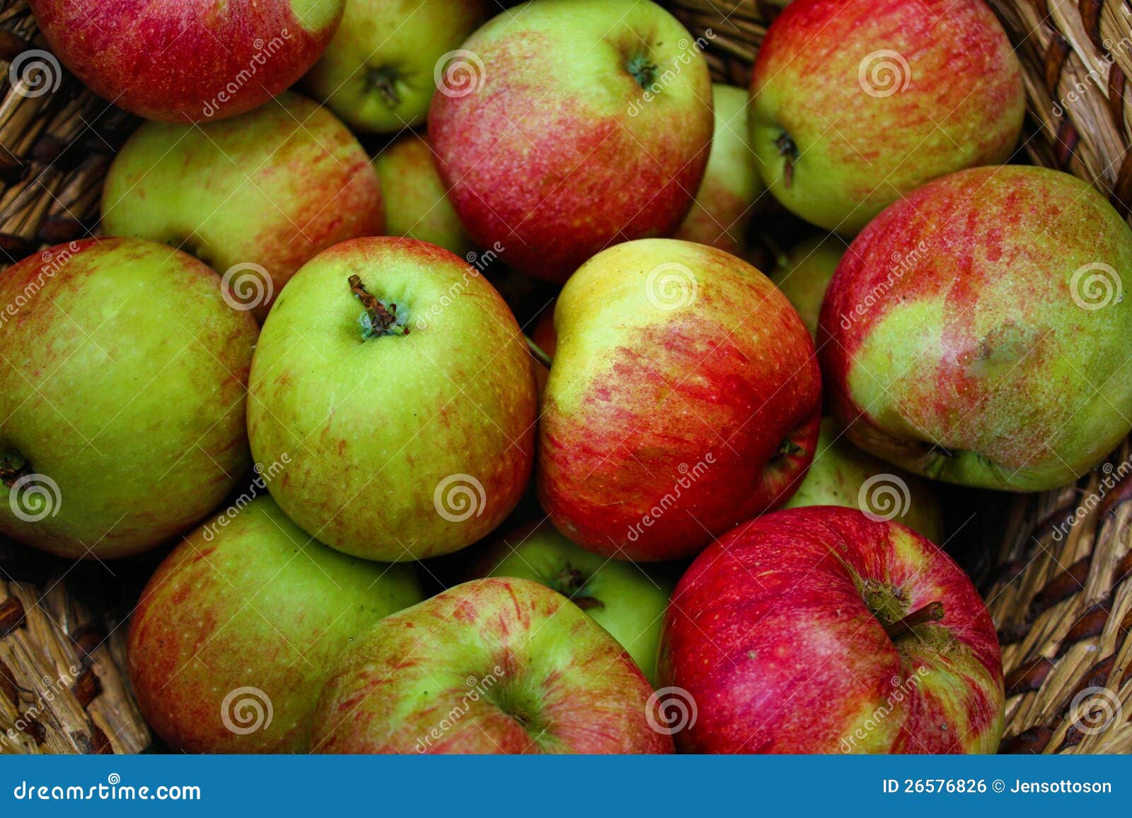Fresh apples stock photo. Image of group, bunch, bright - 26576826