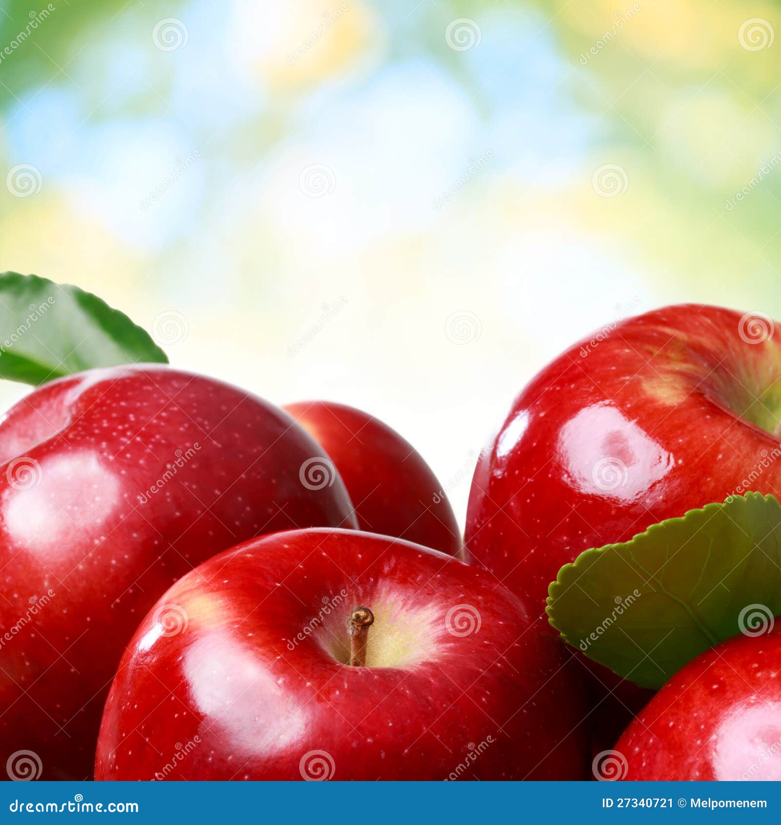 Fresh apples stock image. Image of fresh, healthy, juicy - 27340721