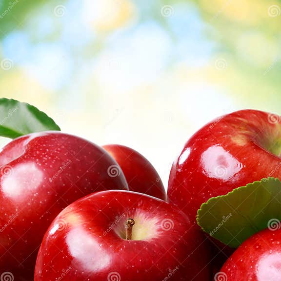 Fresh apples stock image. Image of fresh, healthy, juicy - 27340721