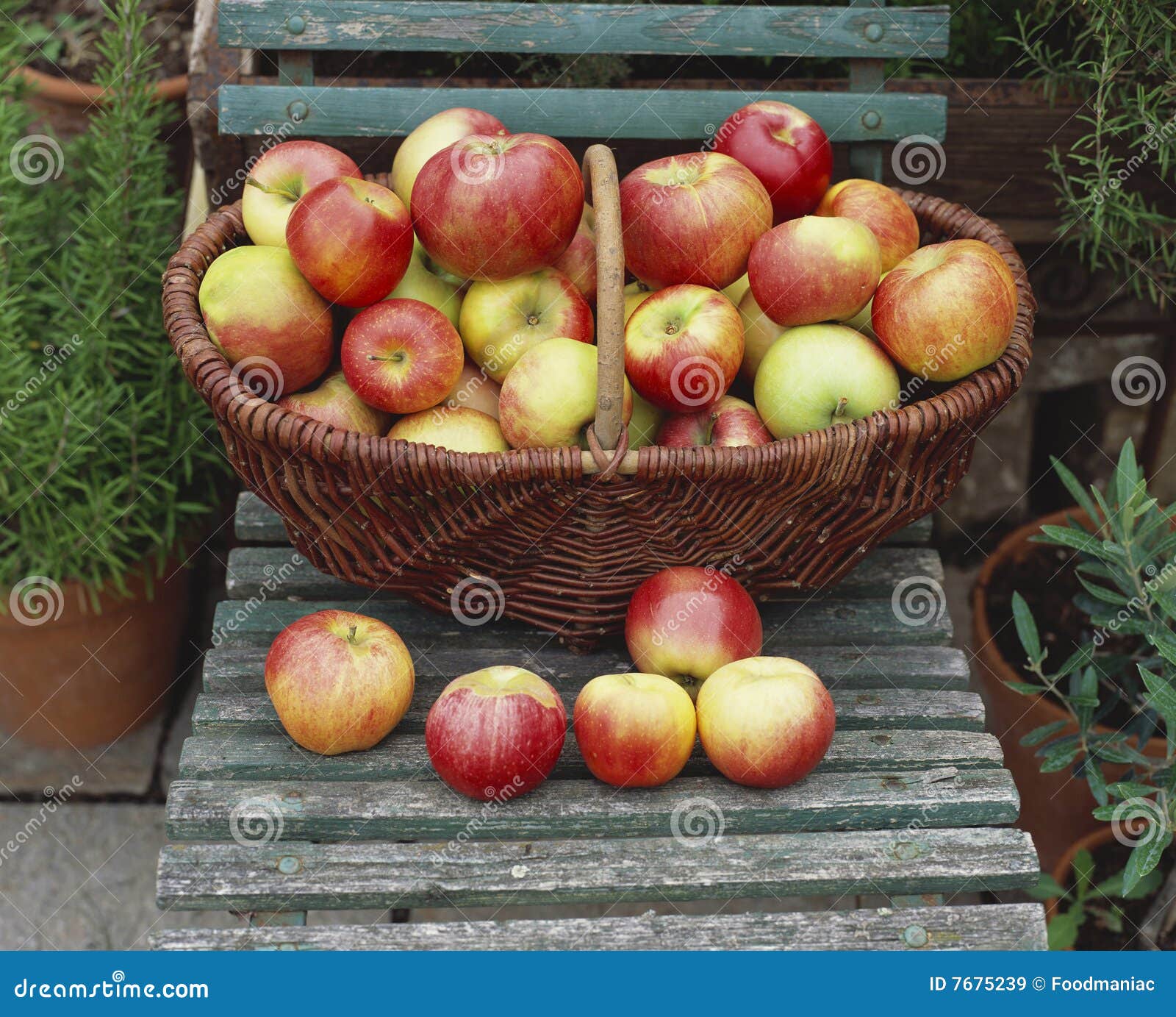Fresh apples stock image. Image of basket, food, fresh - 7675239