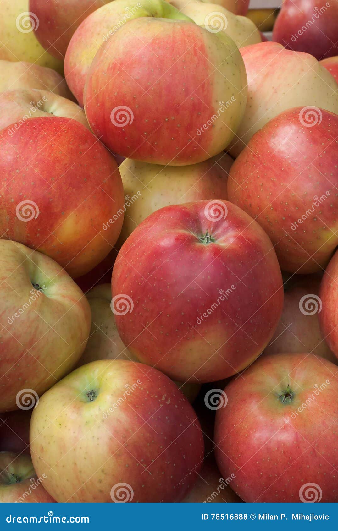 Fresh apples stock photo. Image of natural, edible, apple - 78516888