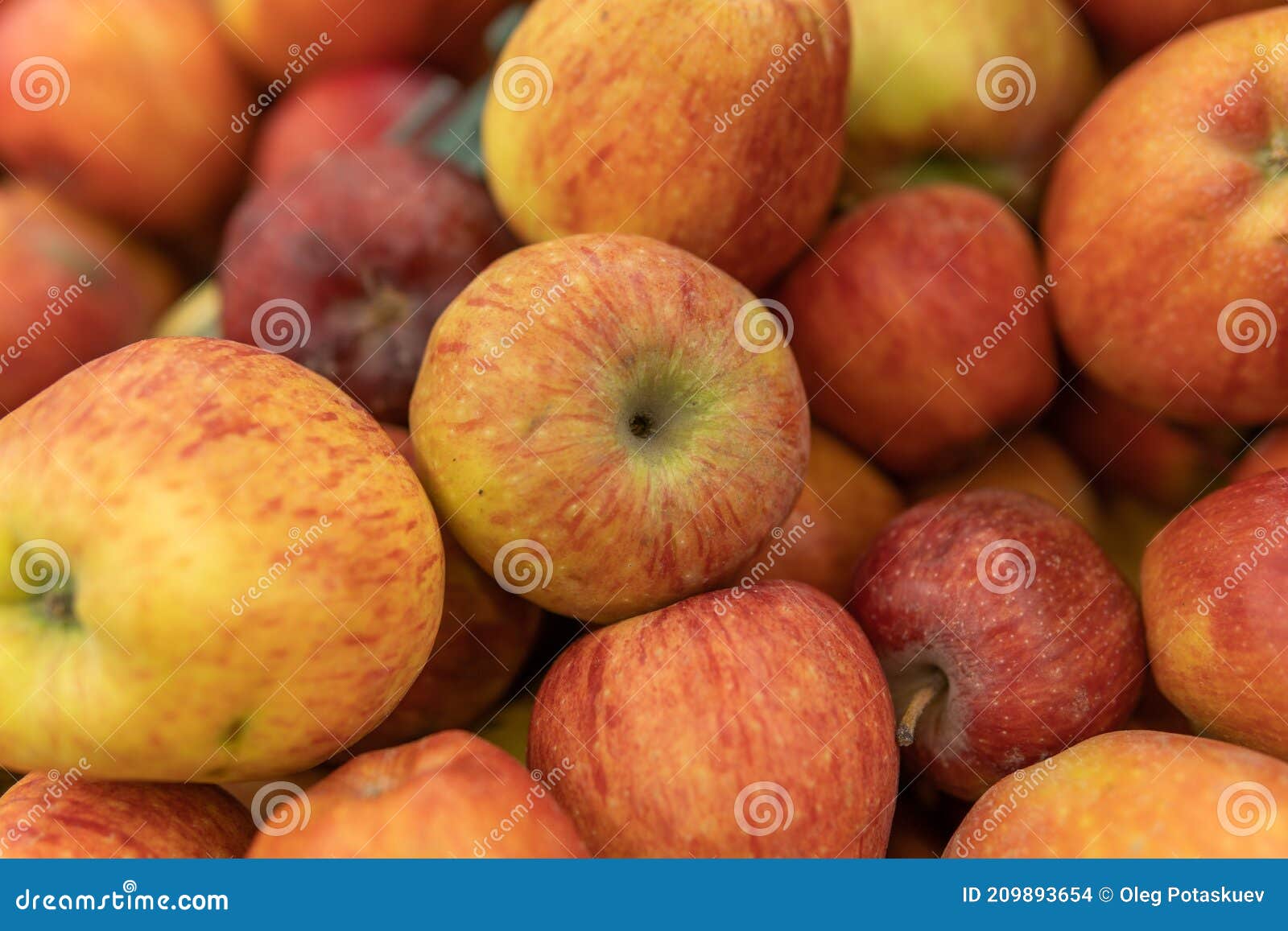 Fresh Apples in Trays on the Counter in the Supermarket. Stock Photo ...
