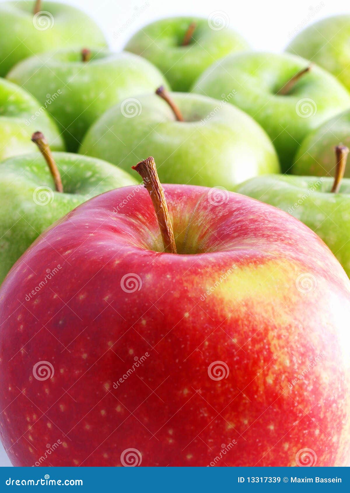 Fresh Apples on a White Background Stock Image - Image of evergreen ...