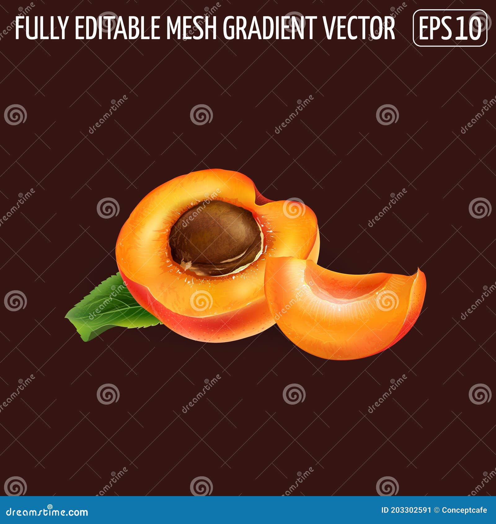 Apricot Cut Half And Whole Fruit. Fresh Orange Berry Cross-section ...