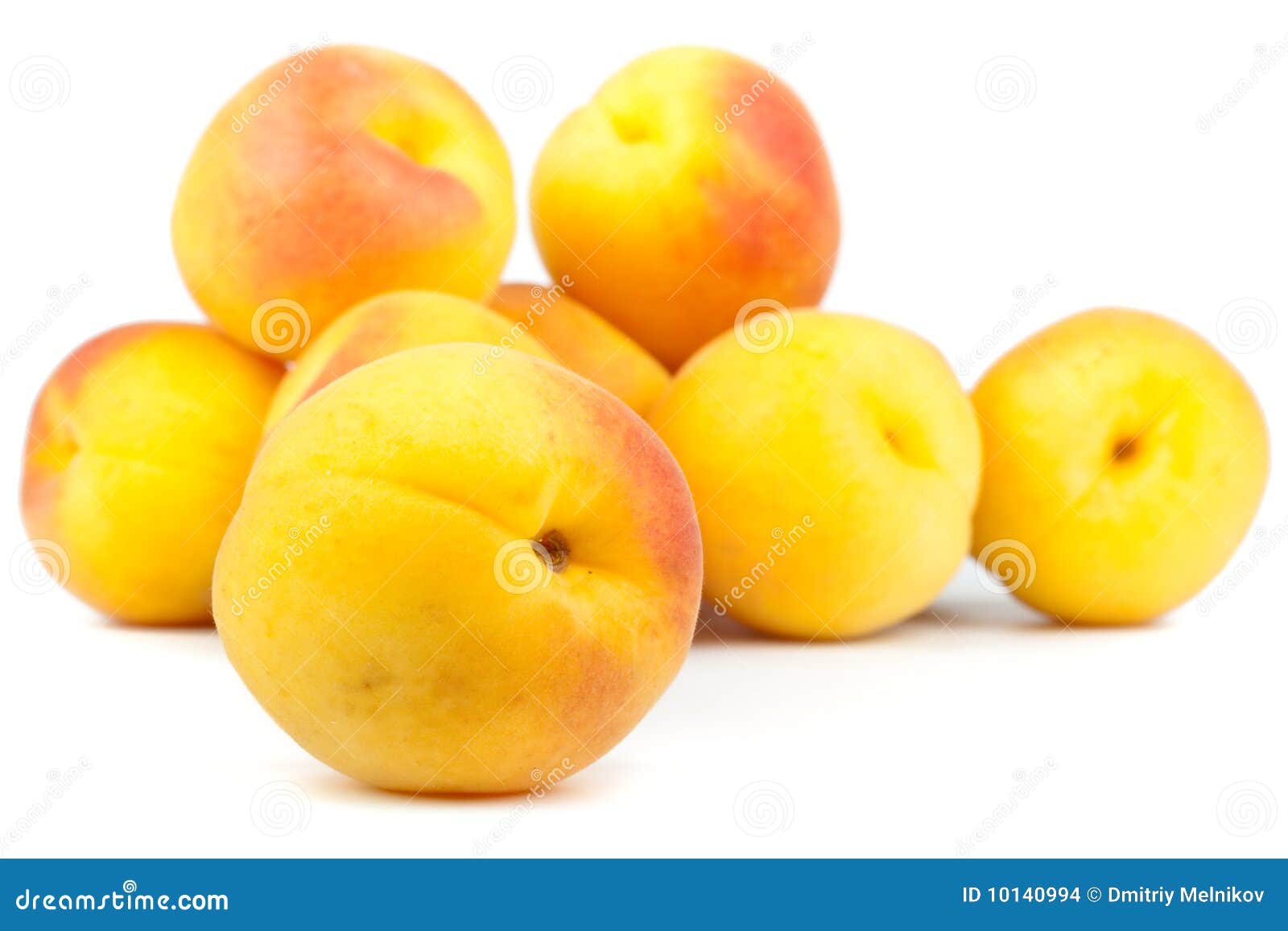 Fresh apricots stock photo. Image of closeup, macro, agriculture - 10140994