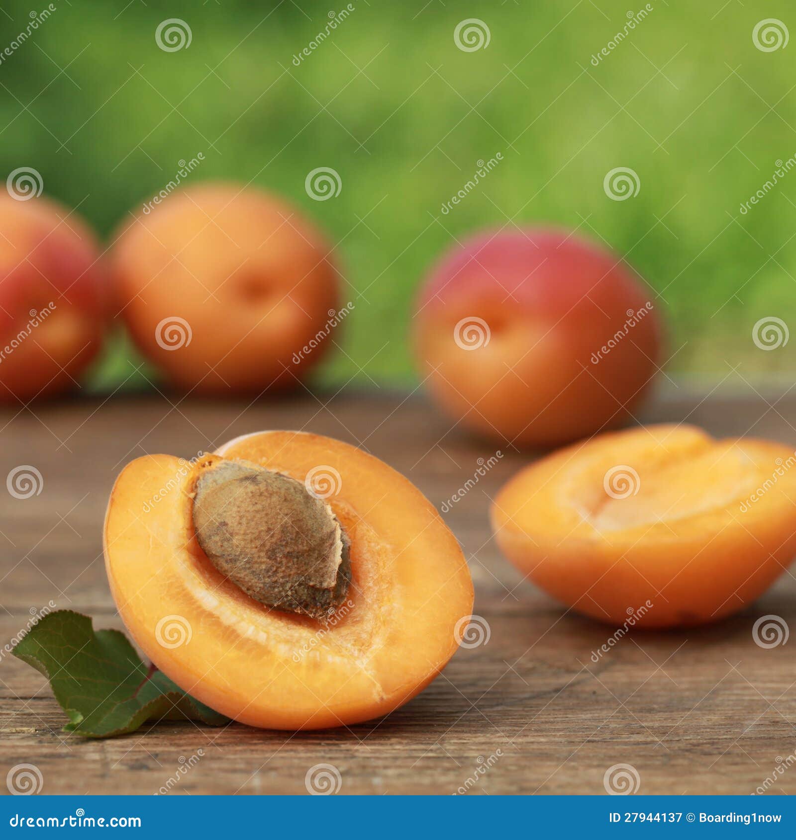 Fresh apricots stock image. Image of garden, leaf, healthy - 27944137