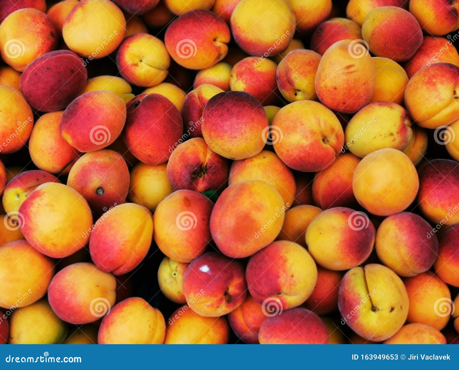 Fresh Apricots Fruit Texture Stock Image - Image of healthy, breakfast ...