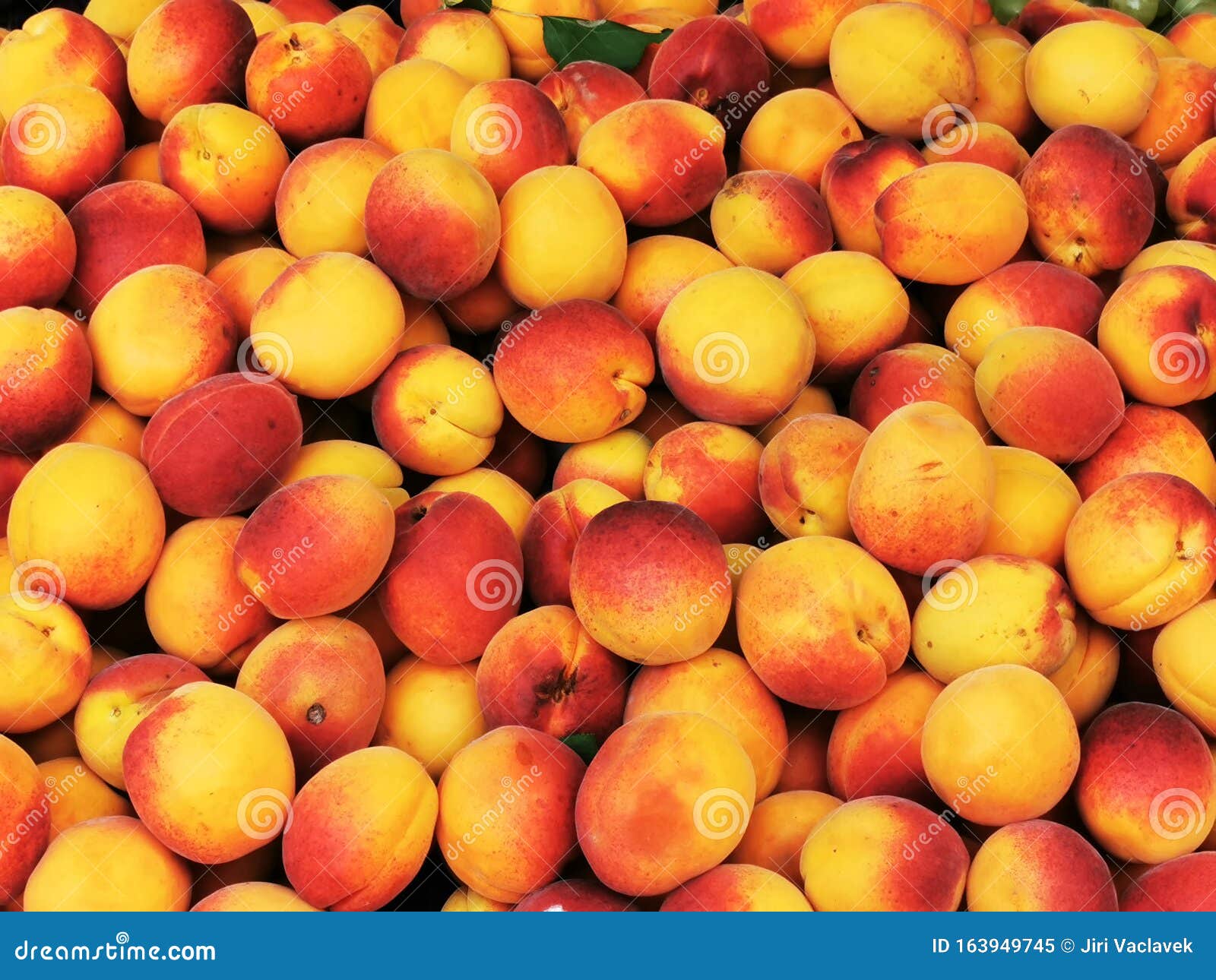 Fresh Apricots Fruit Texture Stock Image - Image of closeup, apricot ...
