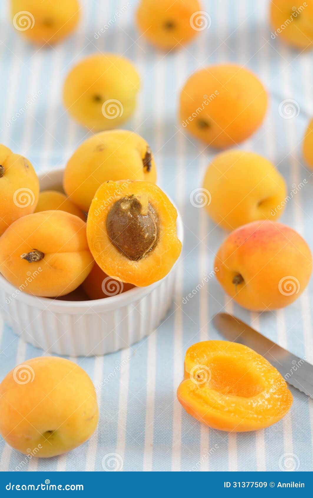 Fresh Apricots stock image. Image of apricot, cross, dieting - 31377509