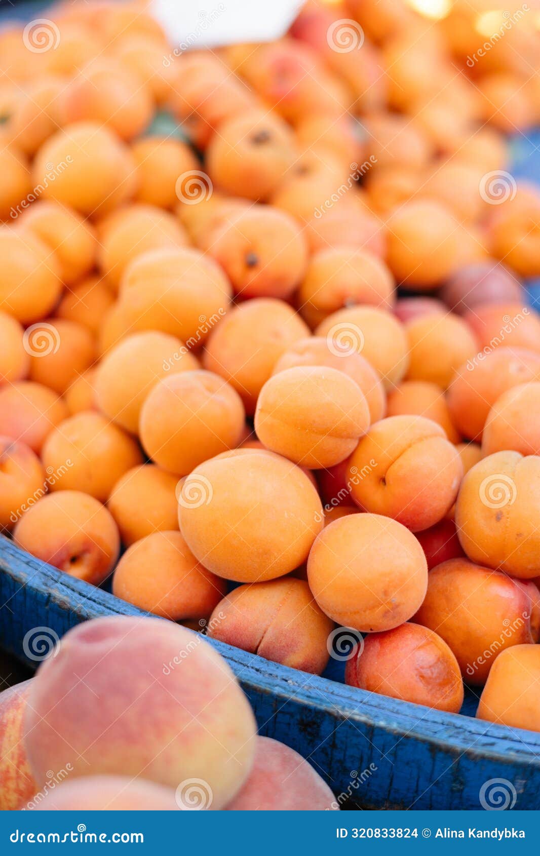 Fresh Apricots on a Tray on a Bazaar Counter Stock Photo - Image of ...