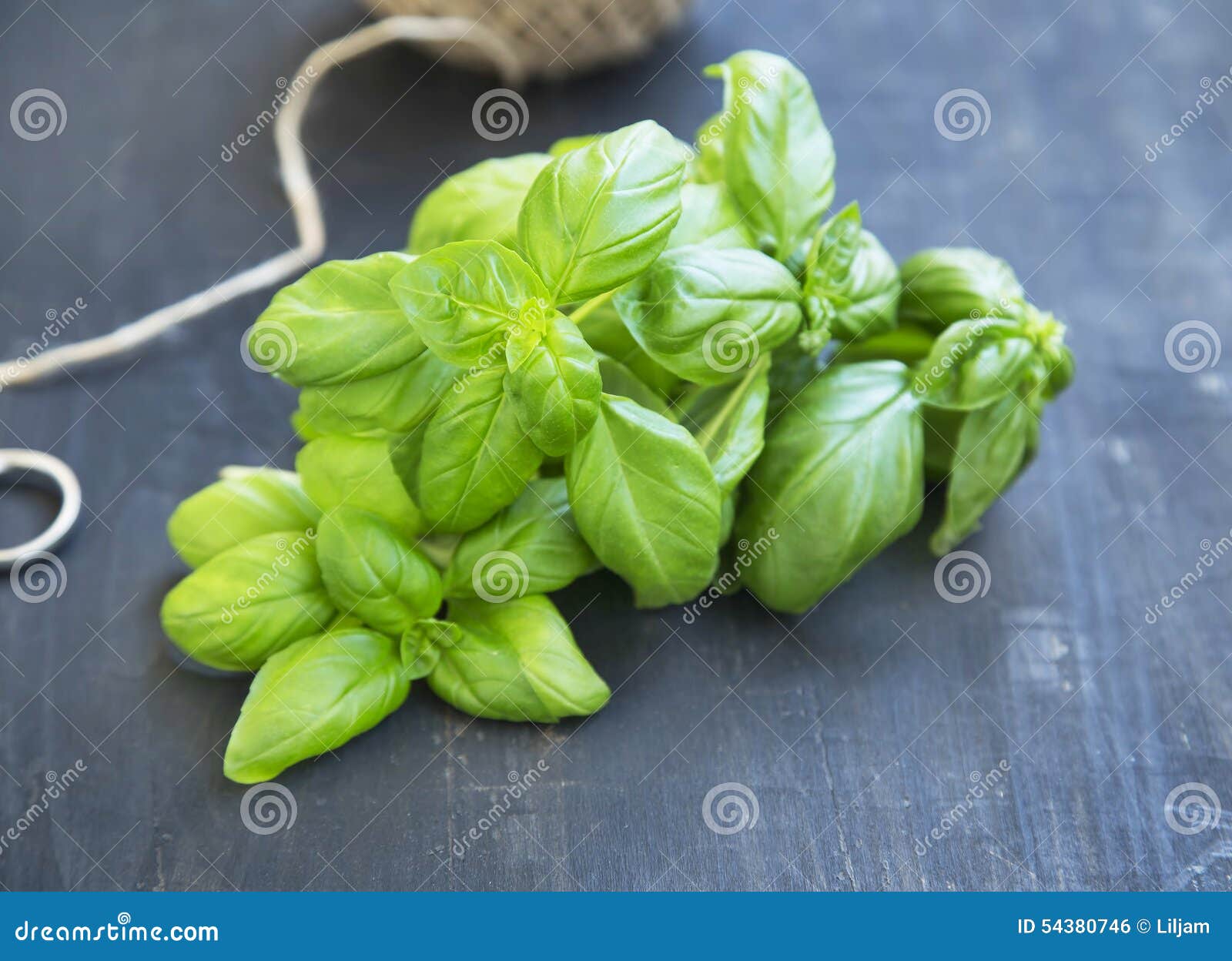 Fresh Aromatic Basil Herb stock photo. Image of leaves - 54380746