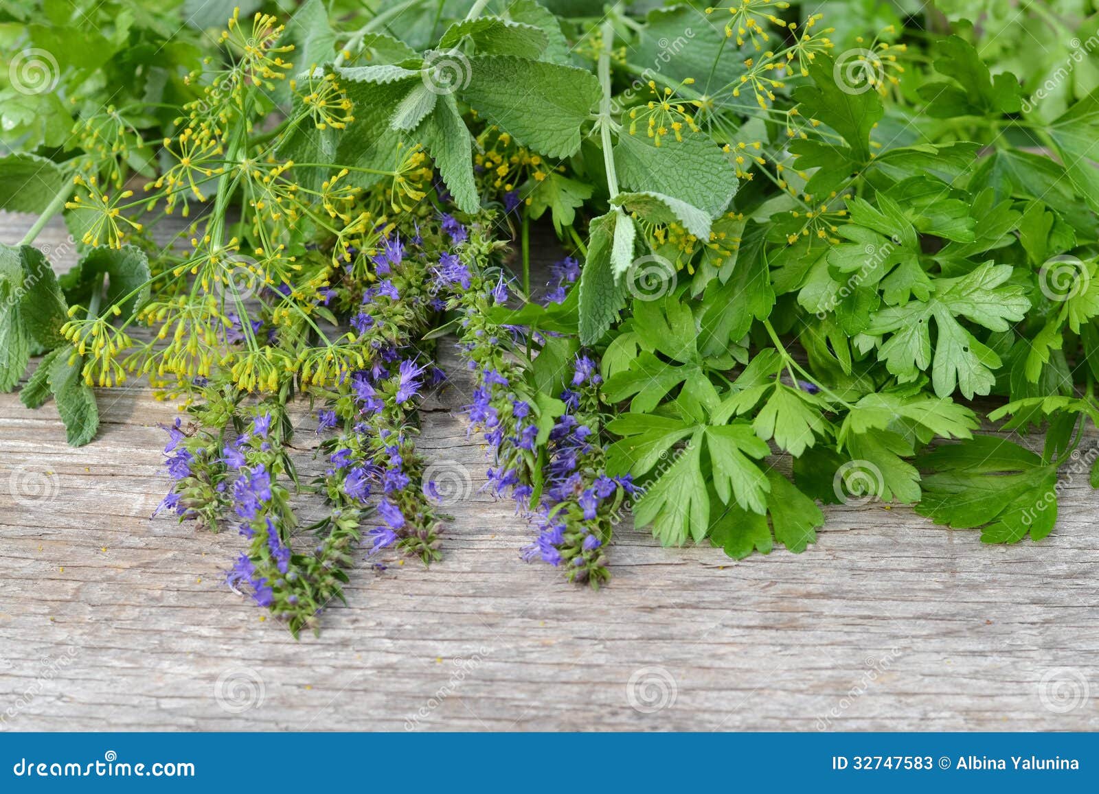 Fresh aromatic herbs stock image. Image of health, healthy - 32747583