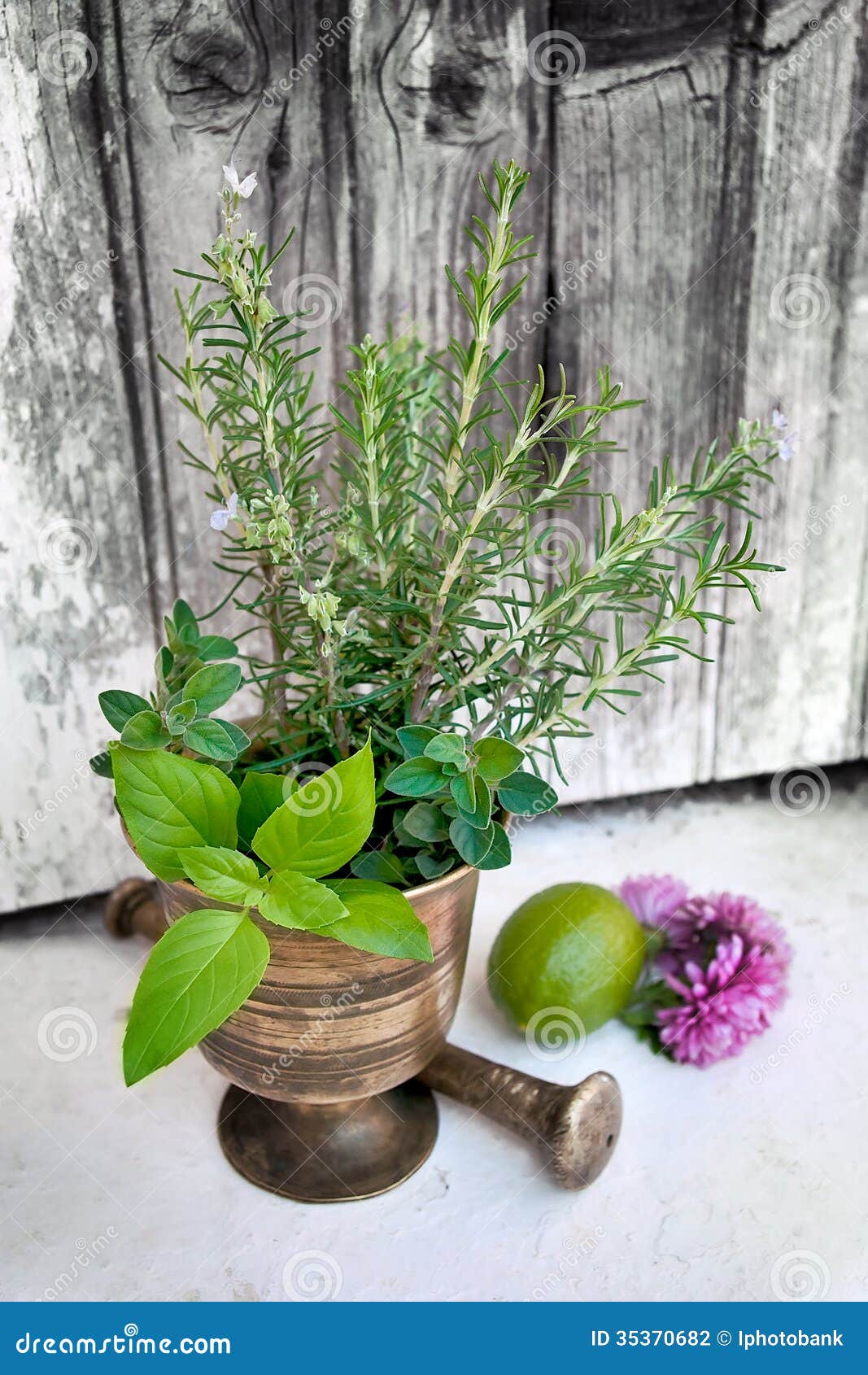 Fresh aromatic herbs stock photo. Image of food, cooking - 35370682