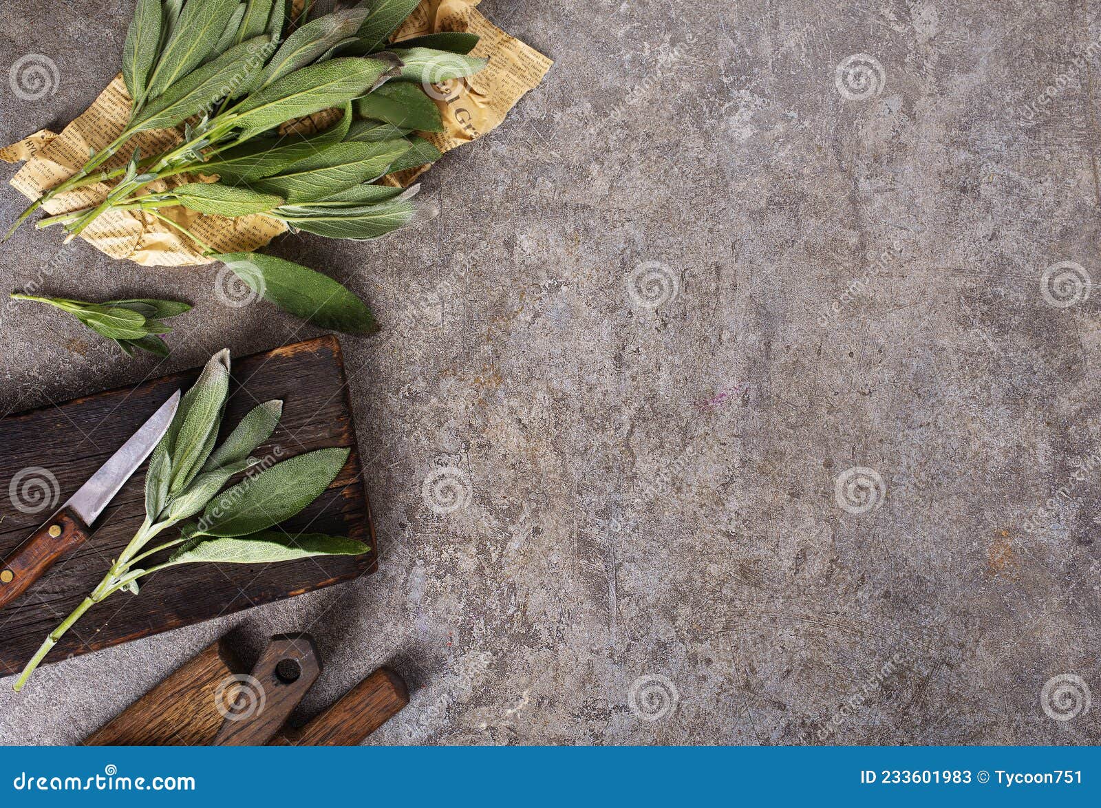 Fresh Aromatic Sage on Old Gray Background Stock Image - Image of food ...