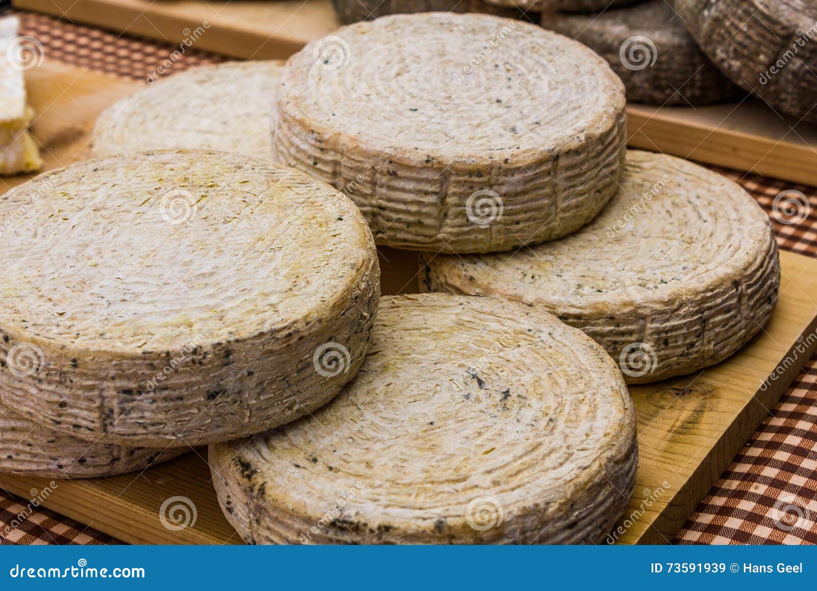Fresh artisan farm cheese stock image. Image of head - 73591939