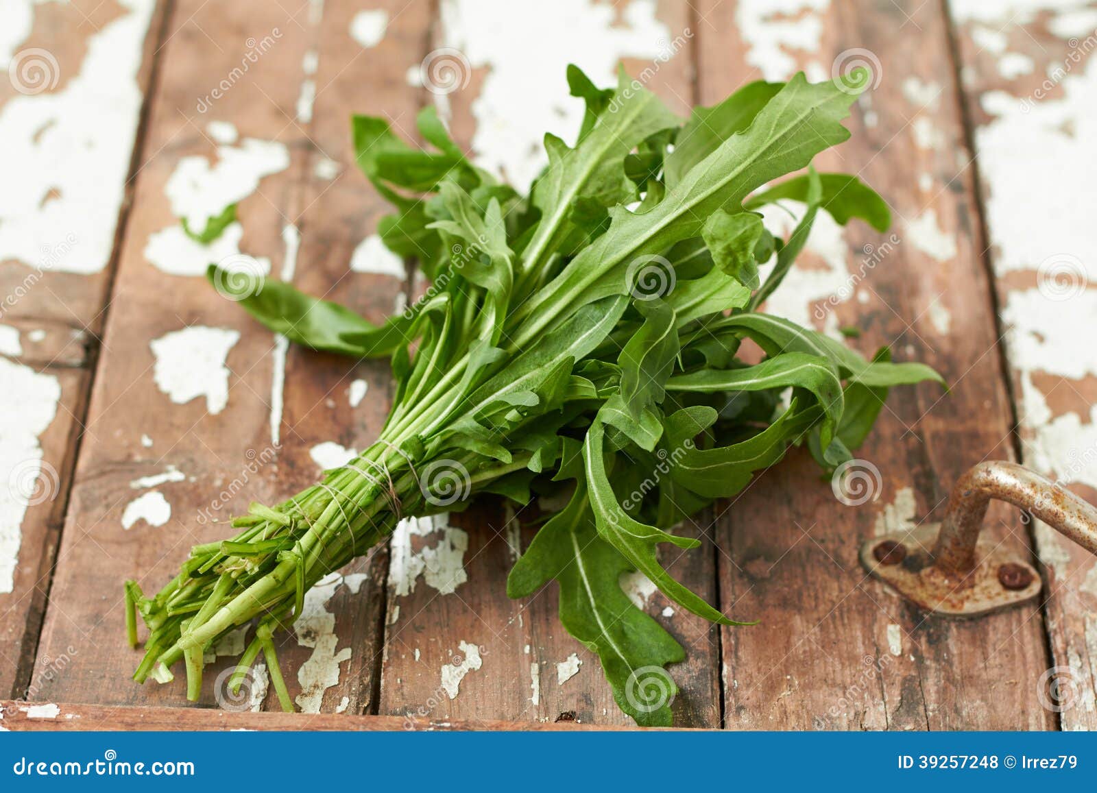Fresh arugula stock photo. Image of ingredient, salad - 39257248
