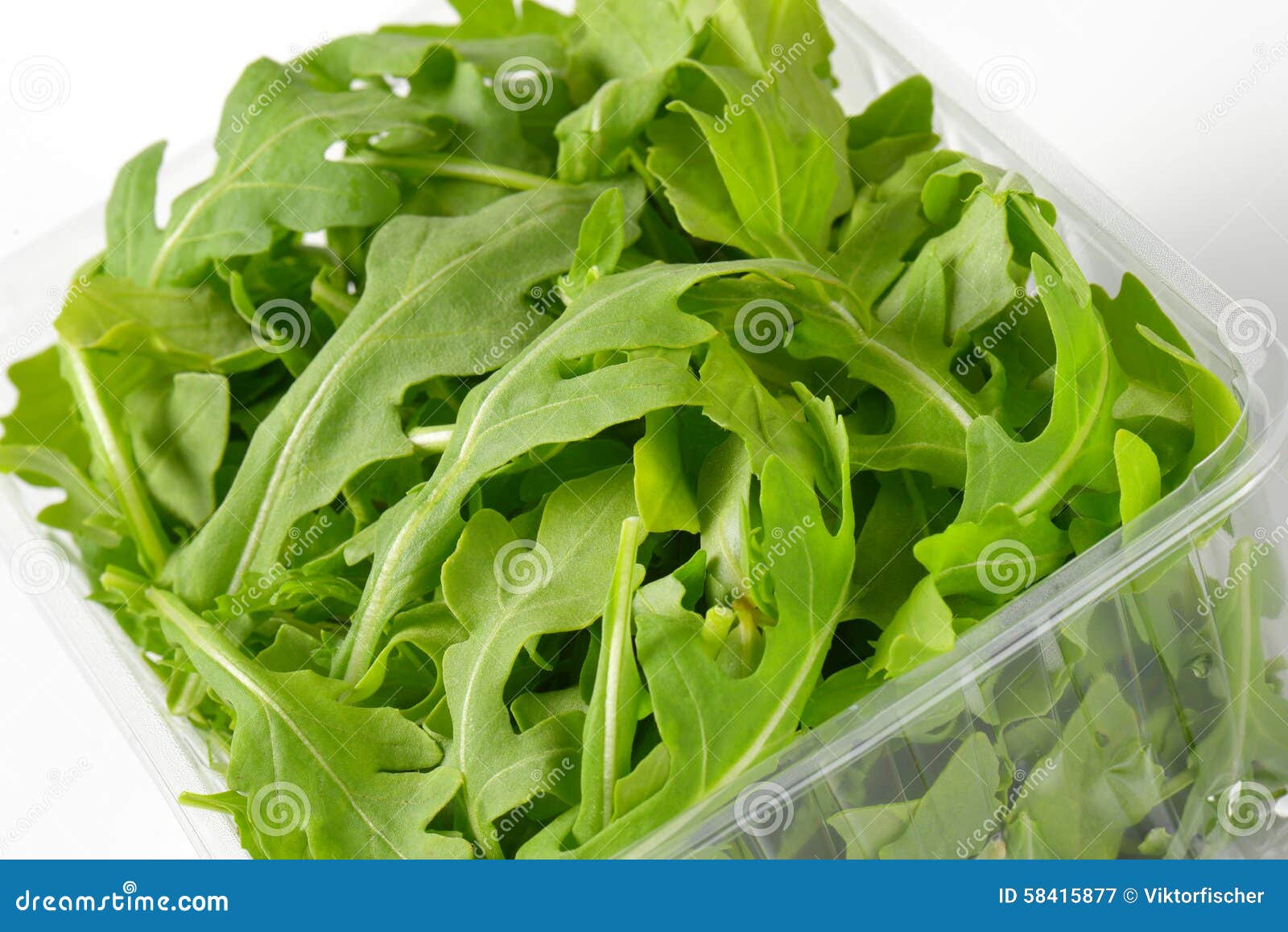 Fresh arugula stock image. Image of green, container - 58415877