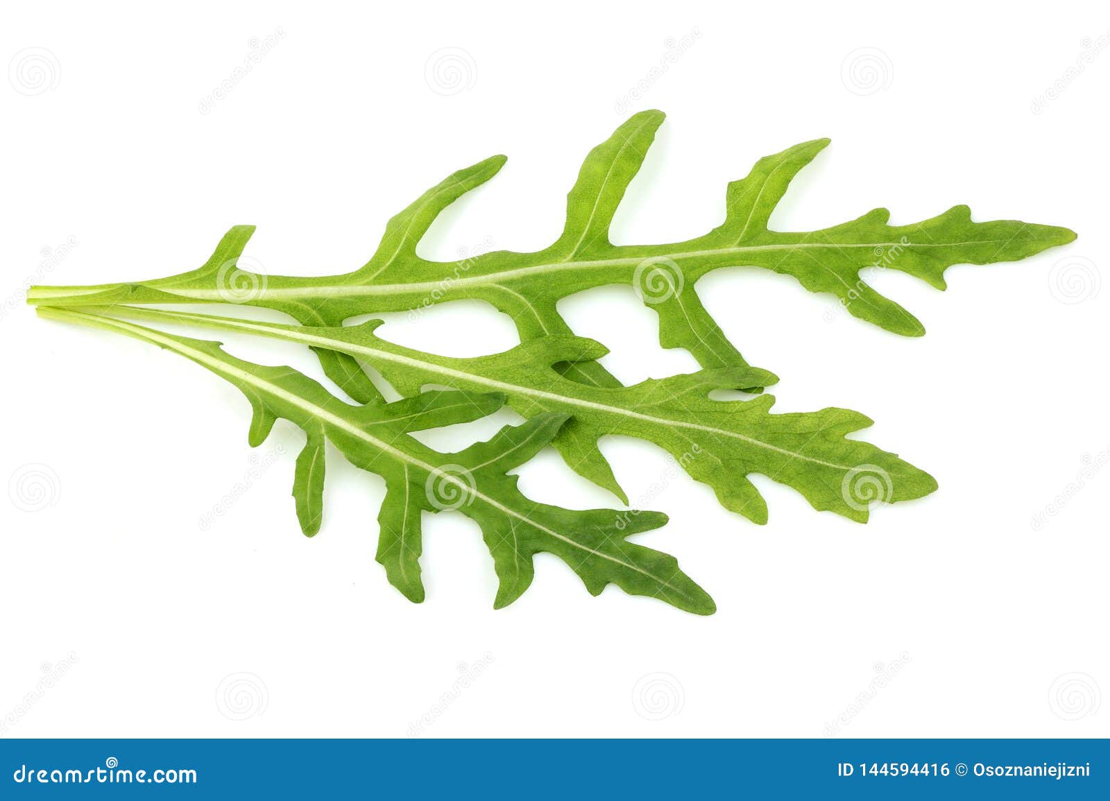 Fresh Arugula Herb Leaves Isolated Stock Photo - Image of ruccola ...