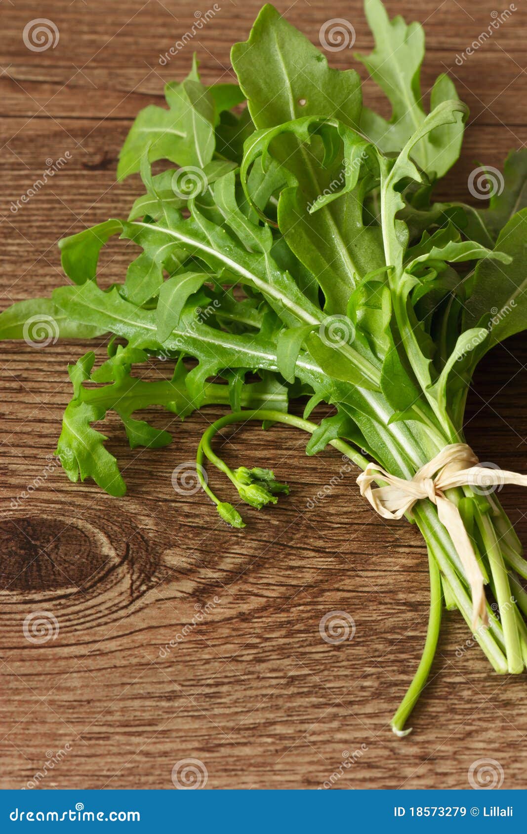 Fresh arugula leaves. stock image. Image of vegetable - 18573279