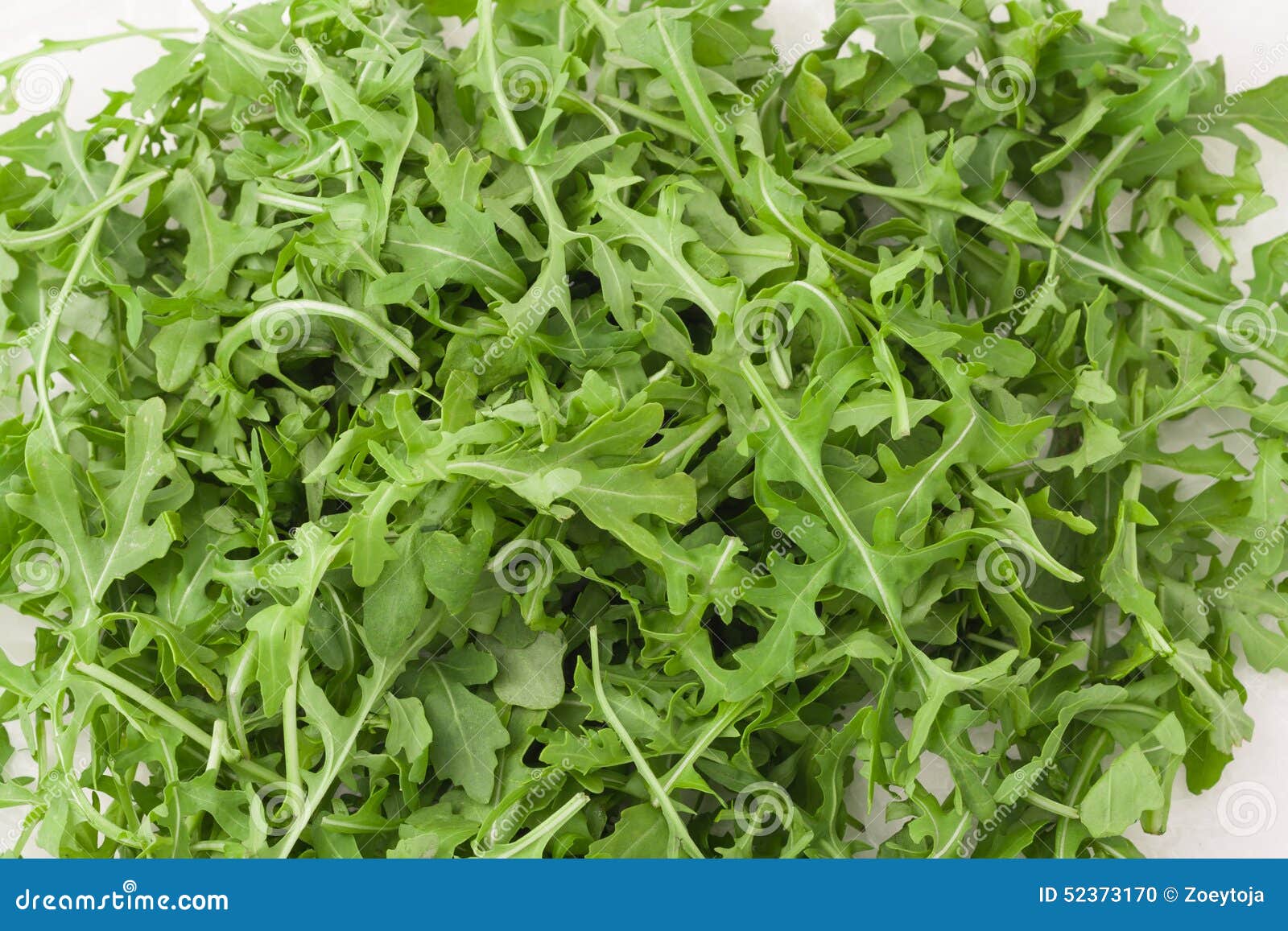 Fresh arugula leaves stock photo. Image of fresh, green - 52373170