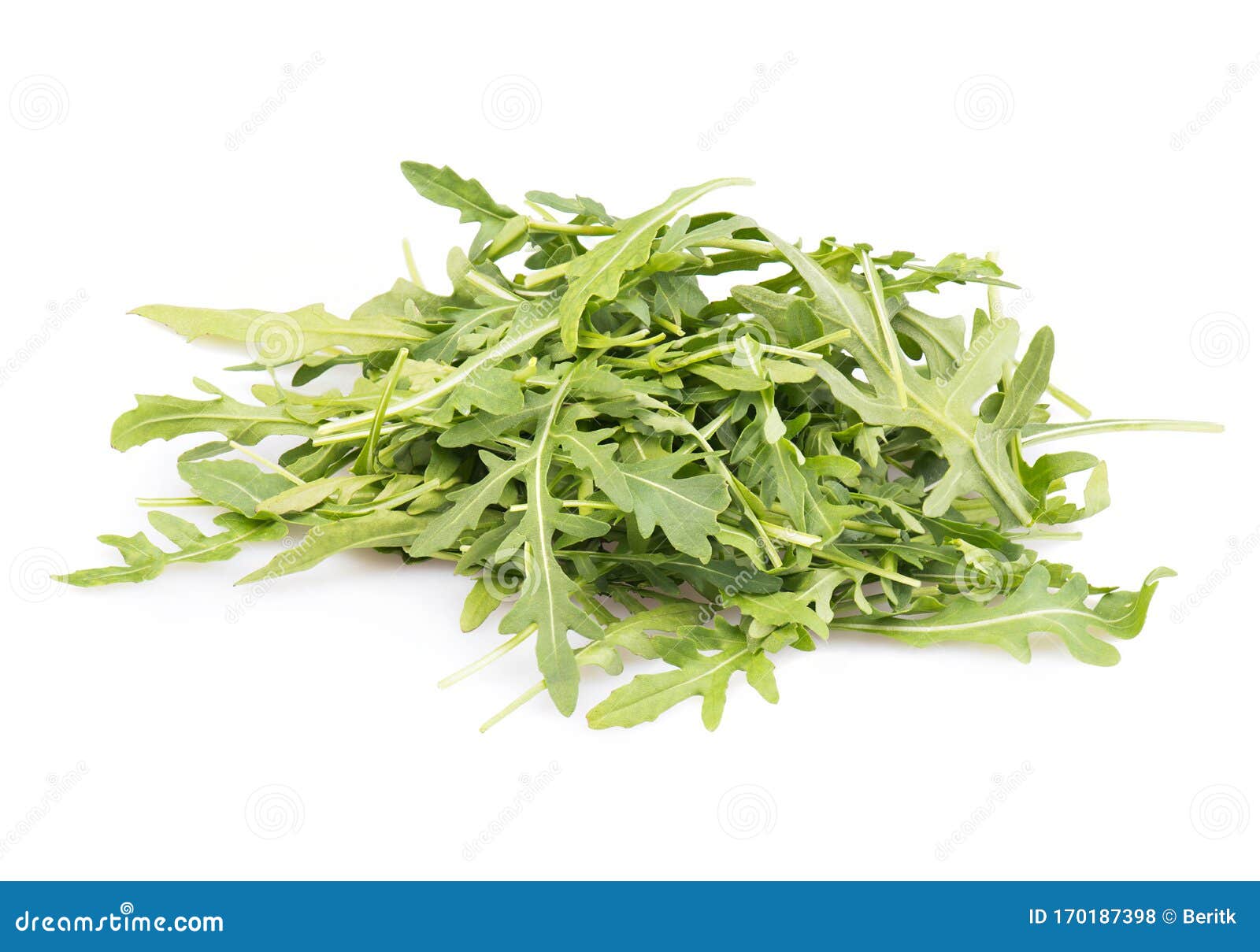 Fresh Arugula Leaves on a White Background Stock Photo - Image of ...