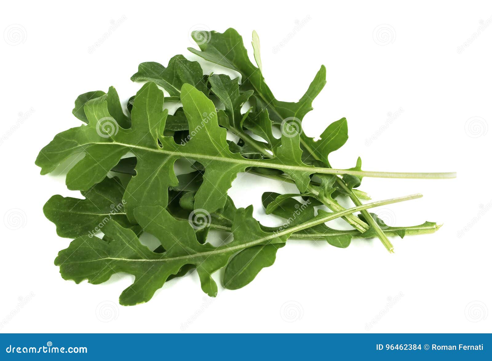 Fresh Arugula Leaves on White Background Stock Photo - Image of eating ...