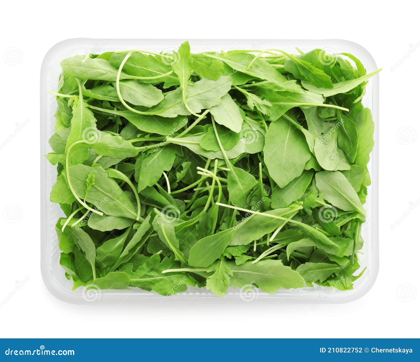 Fresh Arugula in Plastic Container Isolated on White, Top View Stock ...