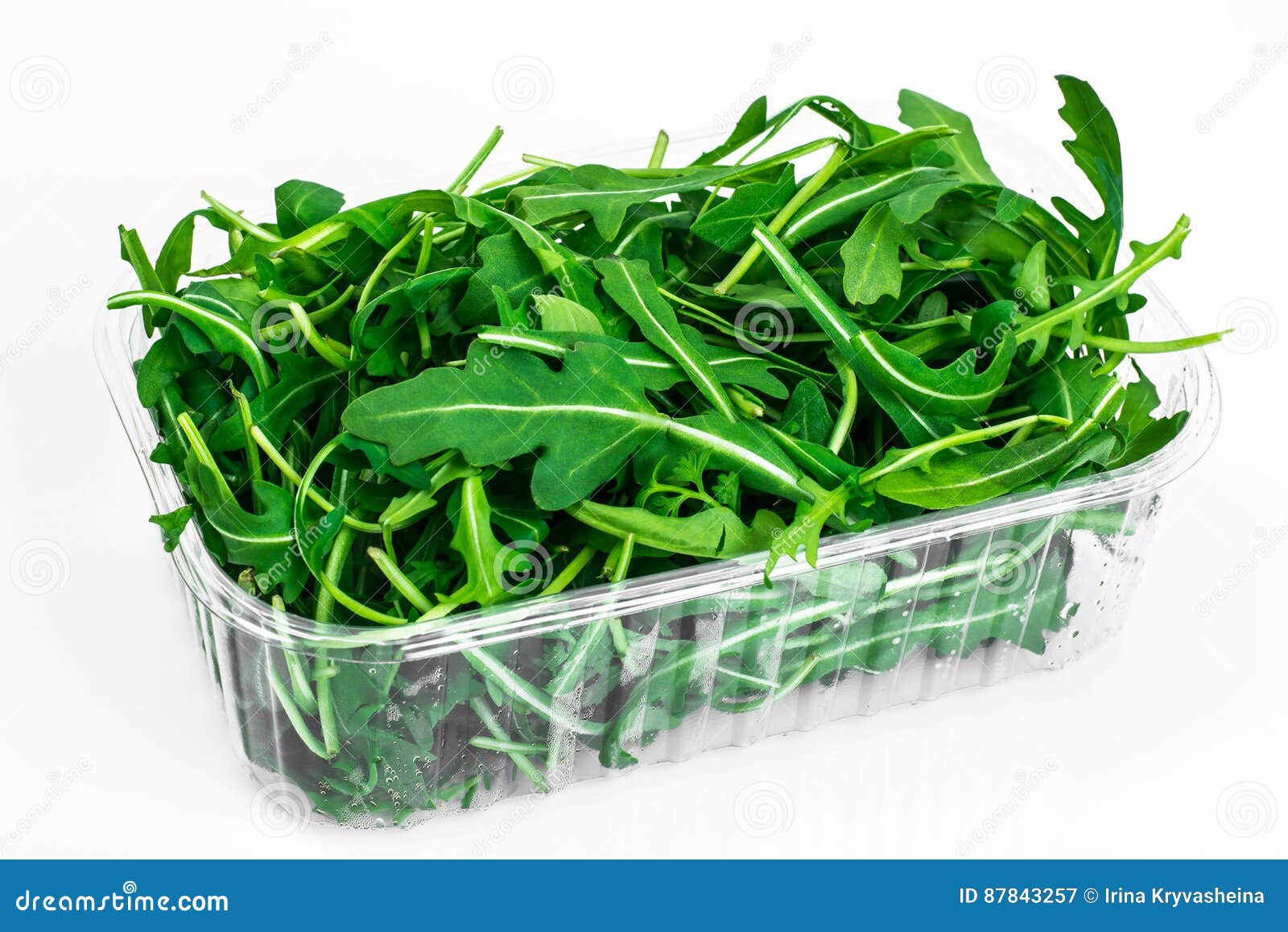 Fresh Arugula in Plastic Container Stock Image - Image of herb, leaf ...