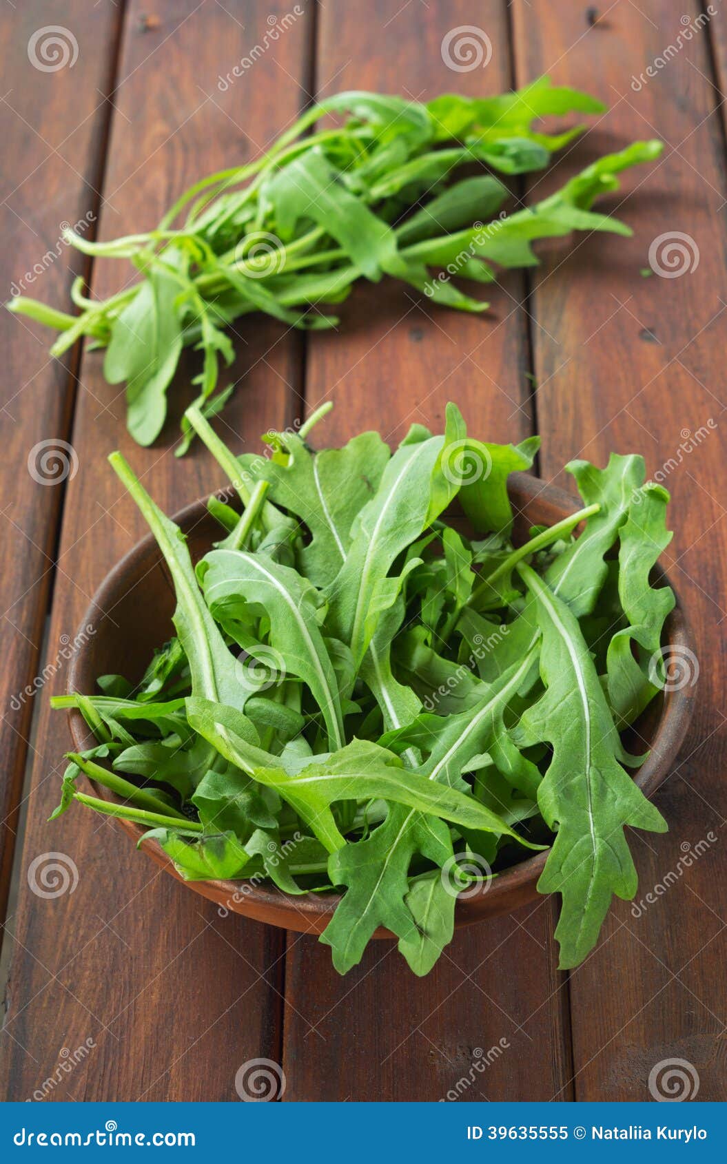 Fresh arugula stock image. Image of herb, green, vegetable - 39635555