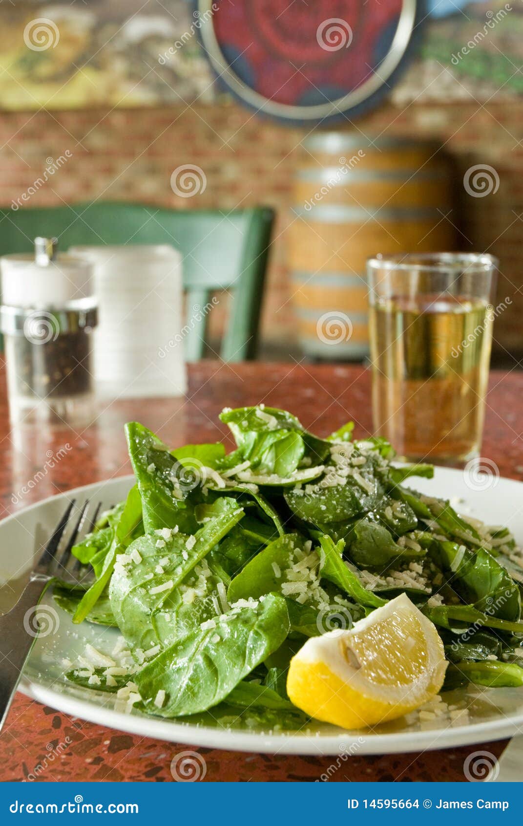 Fresh arugula salad stock photo. Image of pepepr, fresh - 14595664