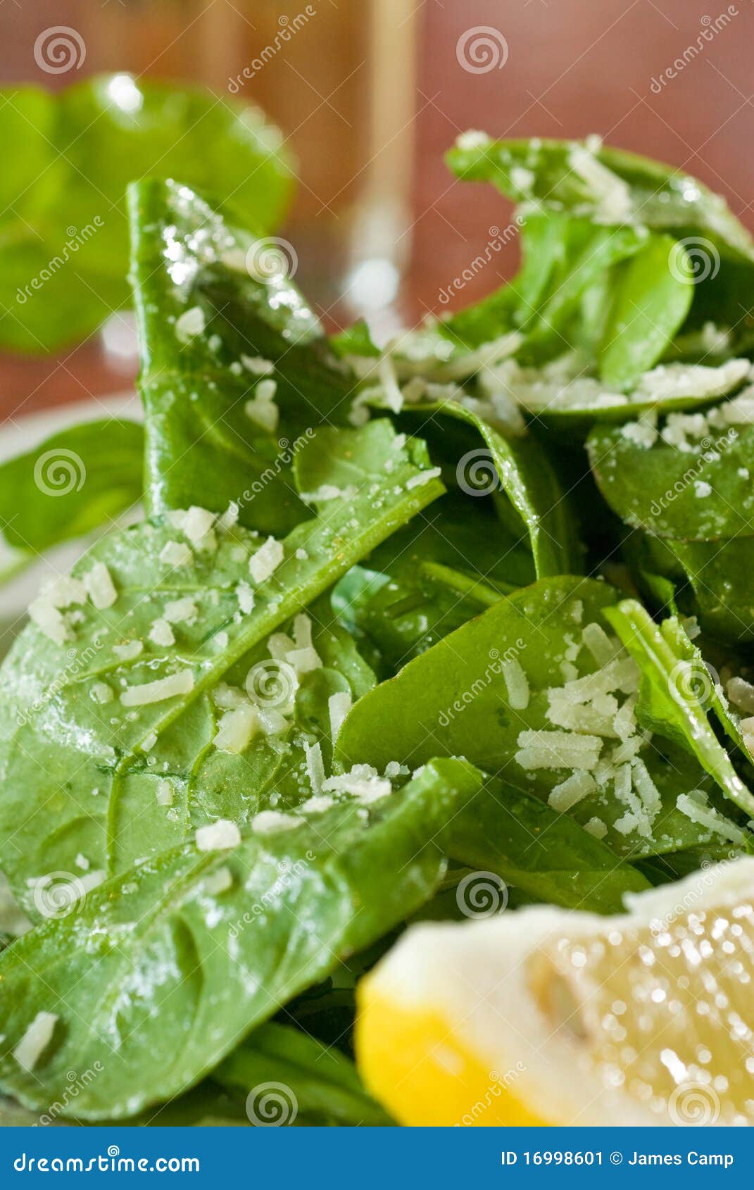 Fresh arugula salad stock image. Image of macro, orange - 16998601